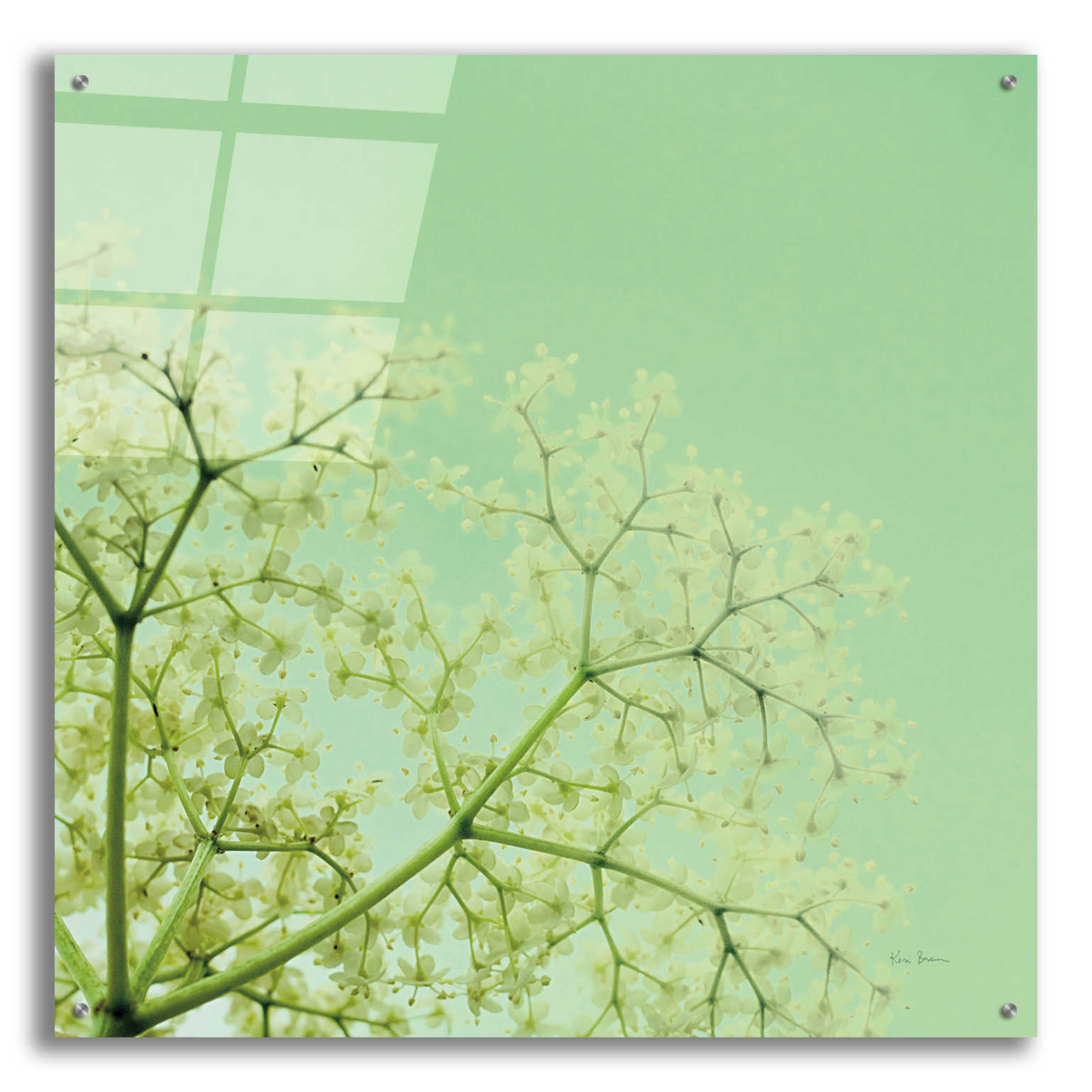 Epic Art 'Cuckoo Flowers' by Keri Bevan, Acrylic Glass Wall Art, 36"x36 ...