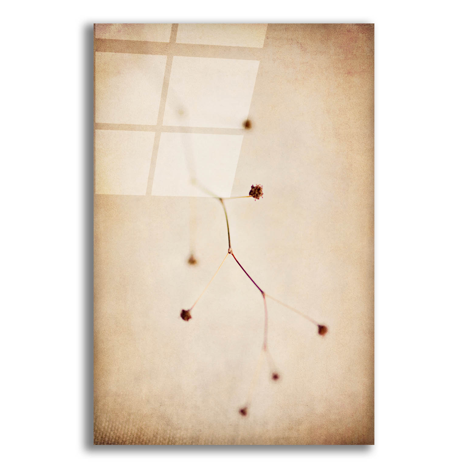 Epic Art 'Desert Afterlife 1C' by Jessica Rogers, Acrylic Glass Wall ...