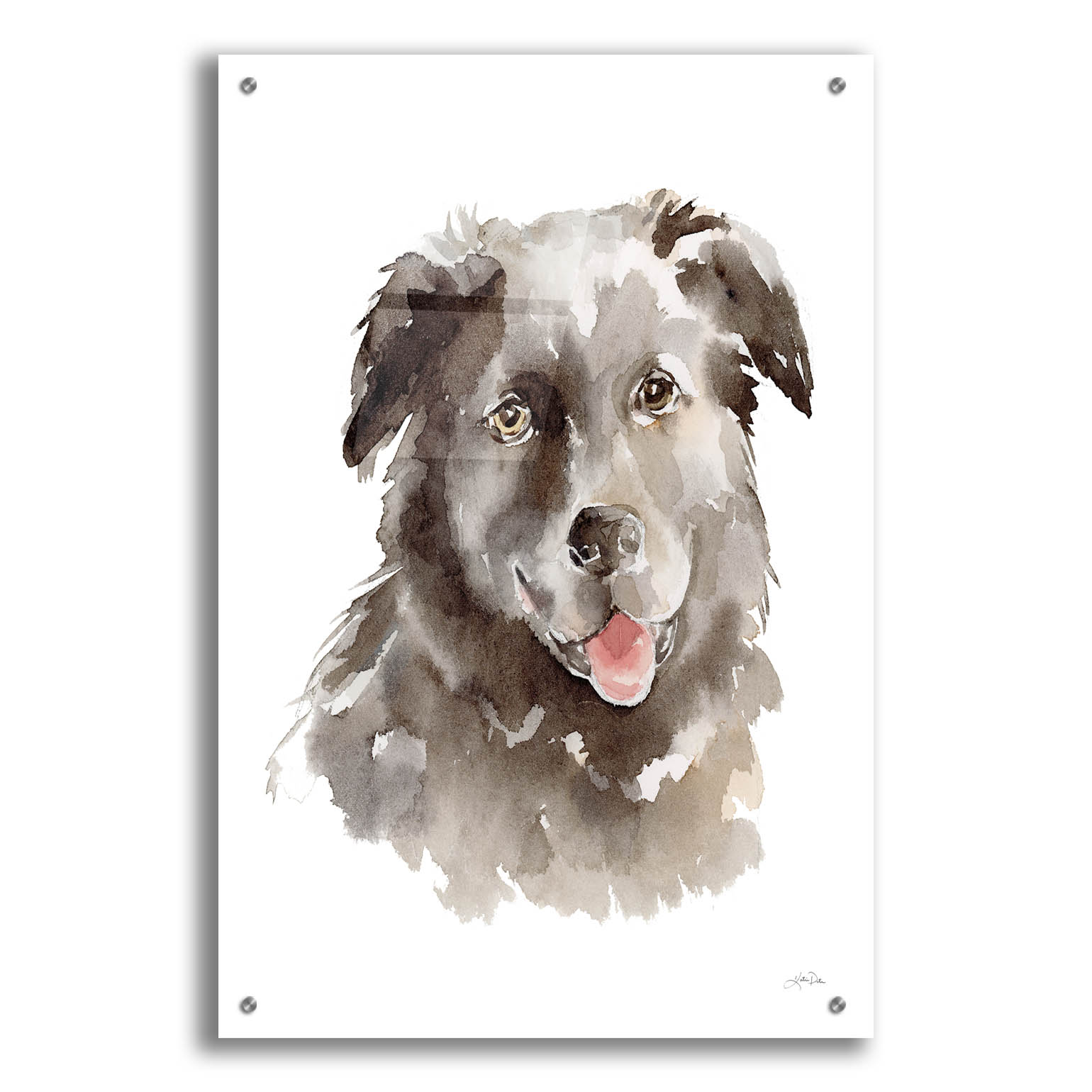 Epic Art 'Dog Portrait 1' by Katrina Pete Acrylic Glass Wall Art, 24" x ...