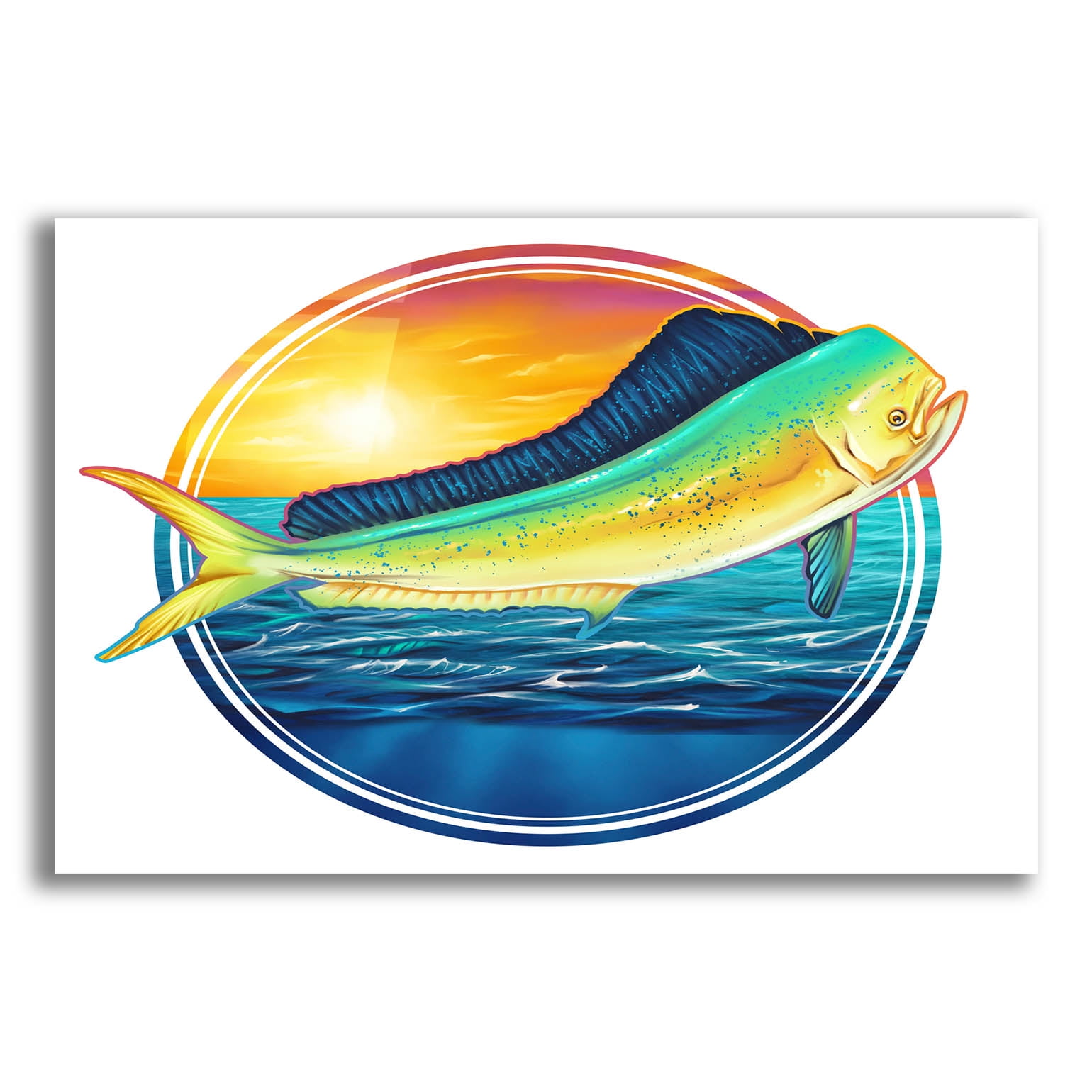 Epic Art 'Dolphin Fish Illustration' by Flyland Designs, Acrylic Glass ...