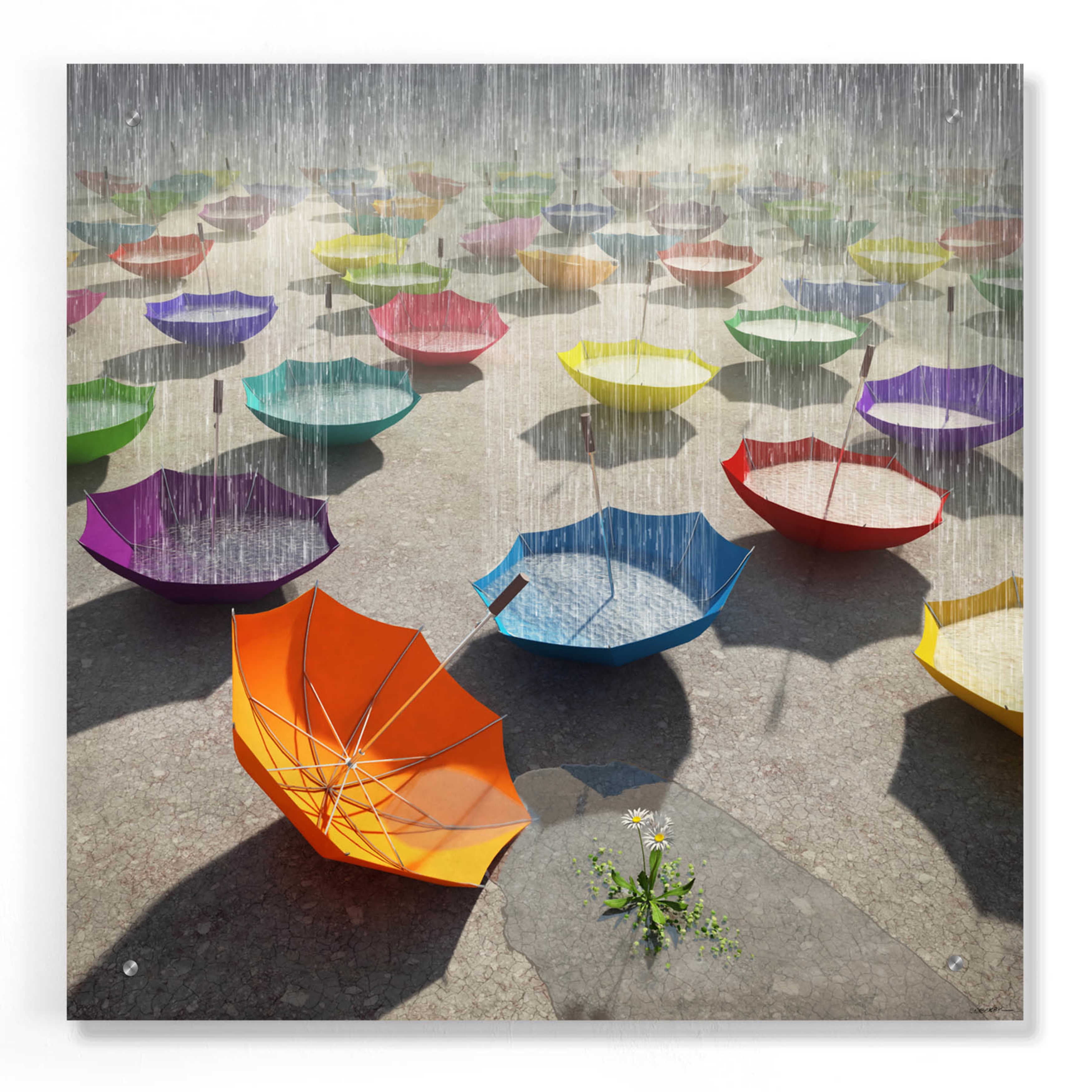 Epic Art 'Downpour' by Cynthia Decker, Acrylic Glass Wall Art, 24"x24 ...