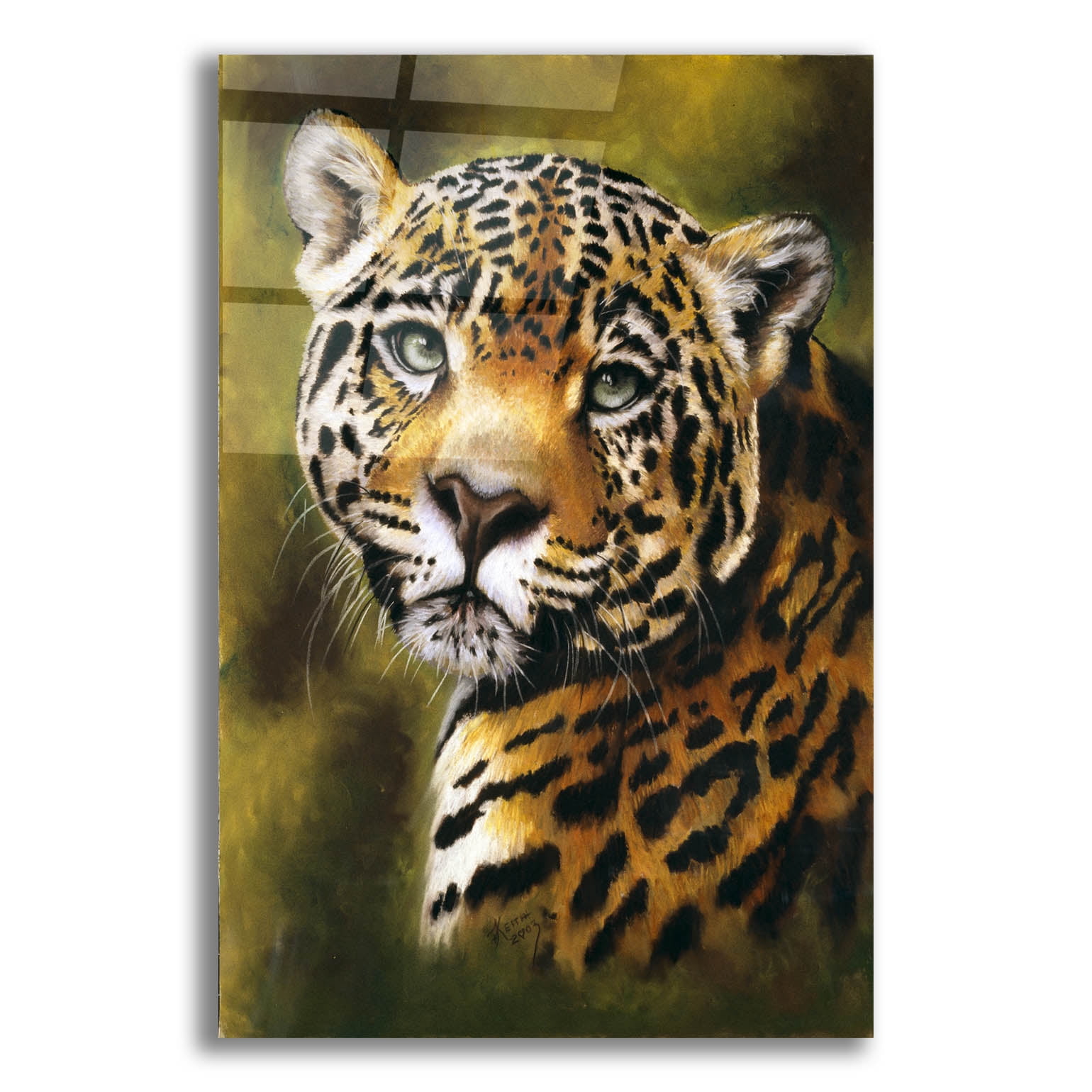 Epic Art 'Enchantress' by Barbara Keith, Acrylic Glass Wall Art, 16"x24 ...