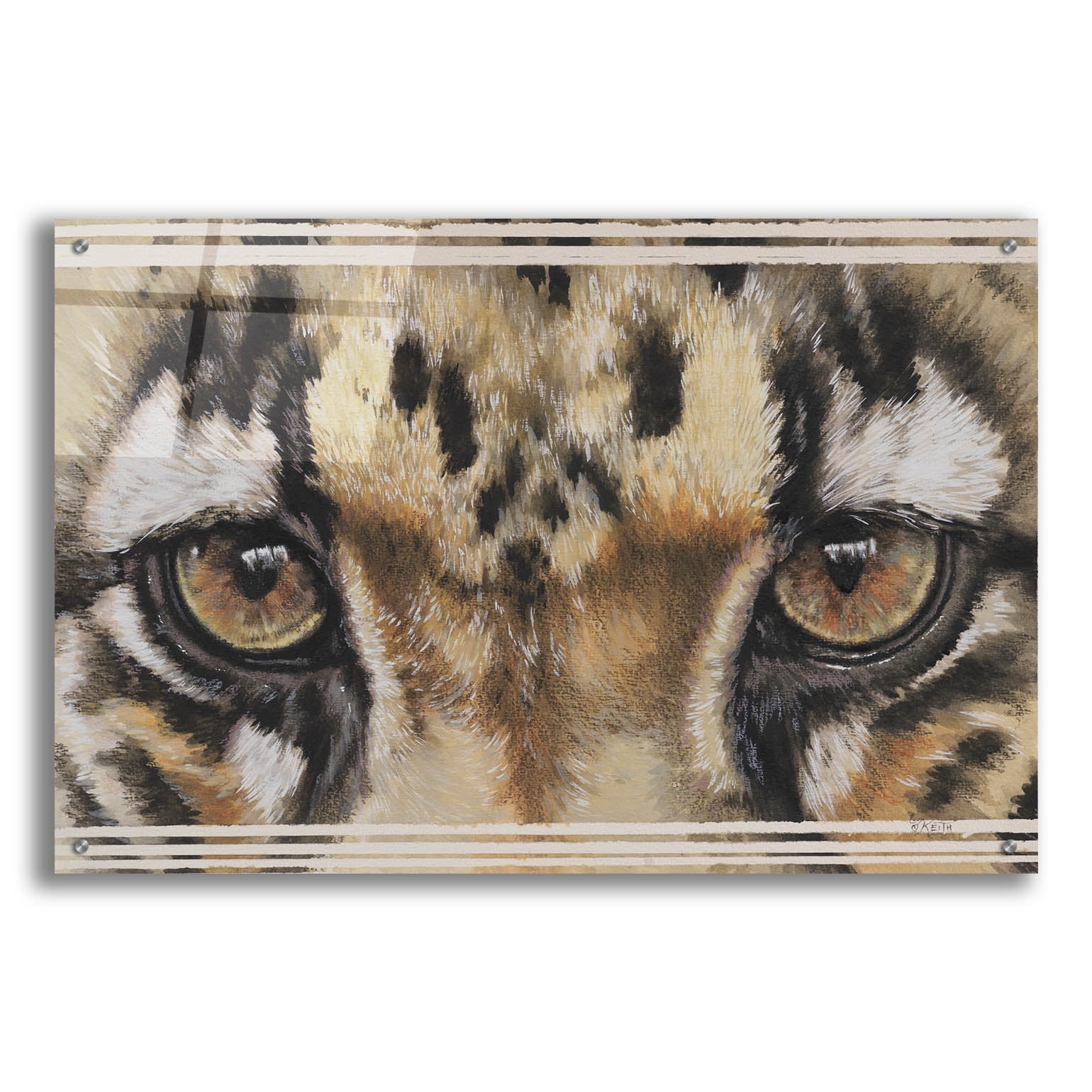 Epic Art 'Eye-Catching Clouded Leopard' by Barbara Keith, Acrylic Glass ...