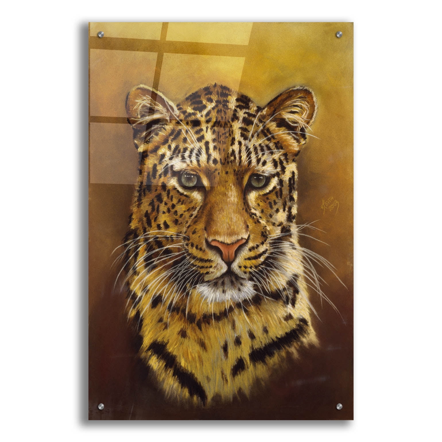 Epic Art 'Eye Of The Storm' by Barbara Keith, Acrylic Glass Wall Art ...