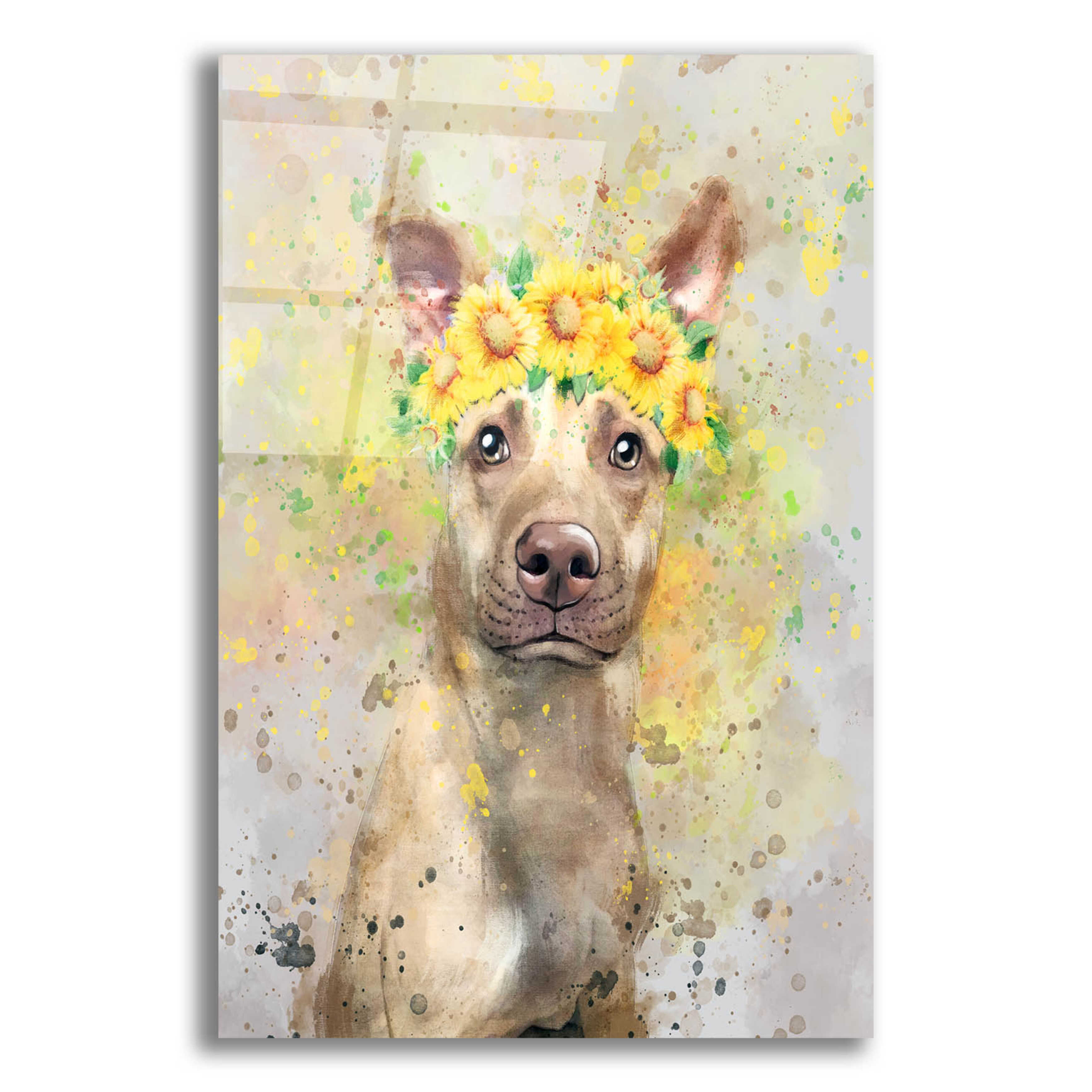 Epic Art 'Flower Crown Pit Bull 2' by Furbaby Affiliates, Acrylic Glass ...