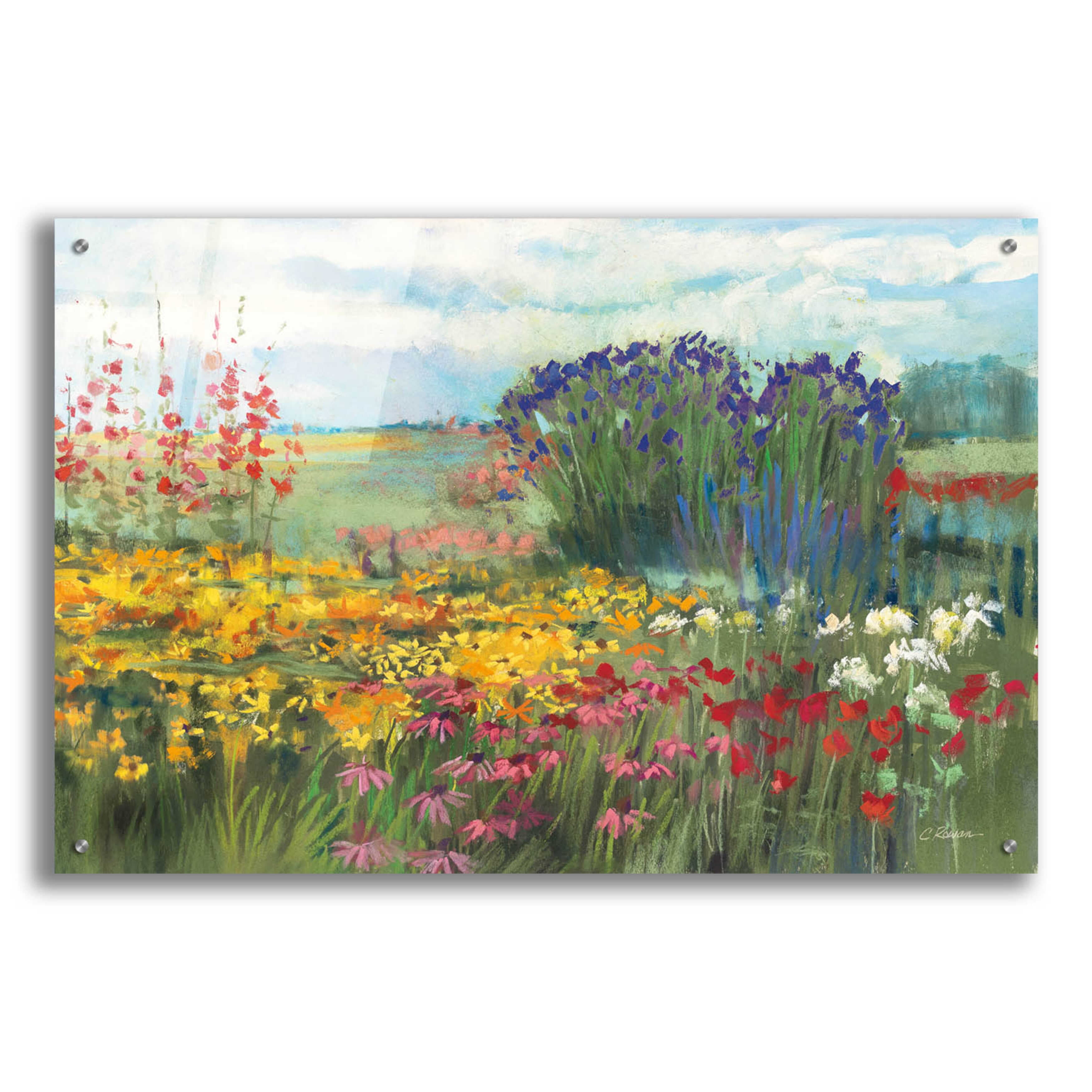 Epic Art 'Garden Border' by Carol Rowan, Acrylic Glass Wall Art, 36"x24 ...