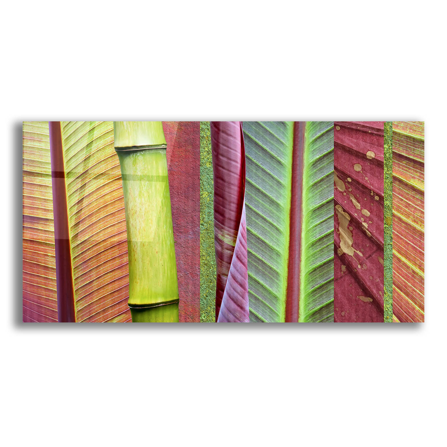 Epic Art 'Green and Red Leaf Collage' by Cora Niele, Acrylic Glass Wall ...
