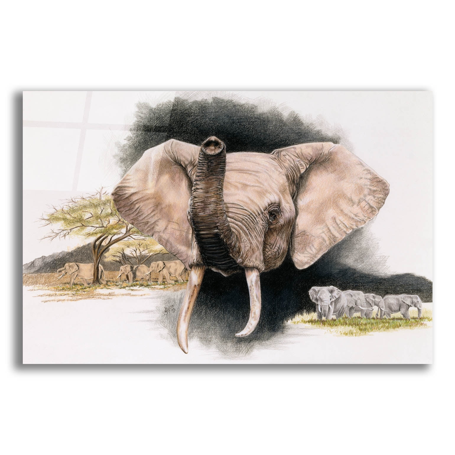 Epic Art 'Imperiled' by Barbara Keith, Acrylic Glass Wall Art, 24"x16 ...