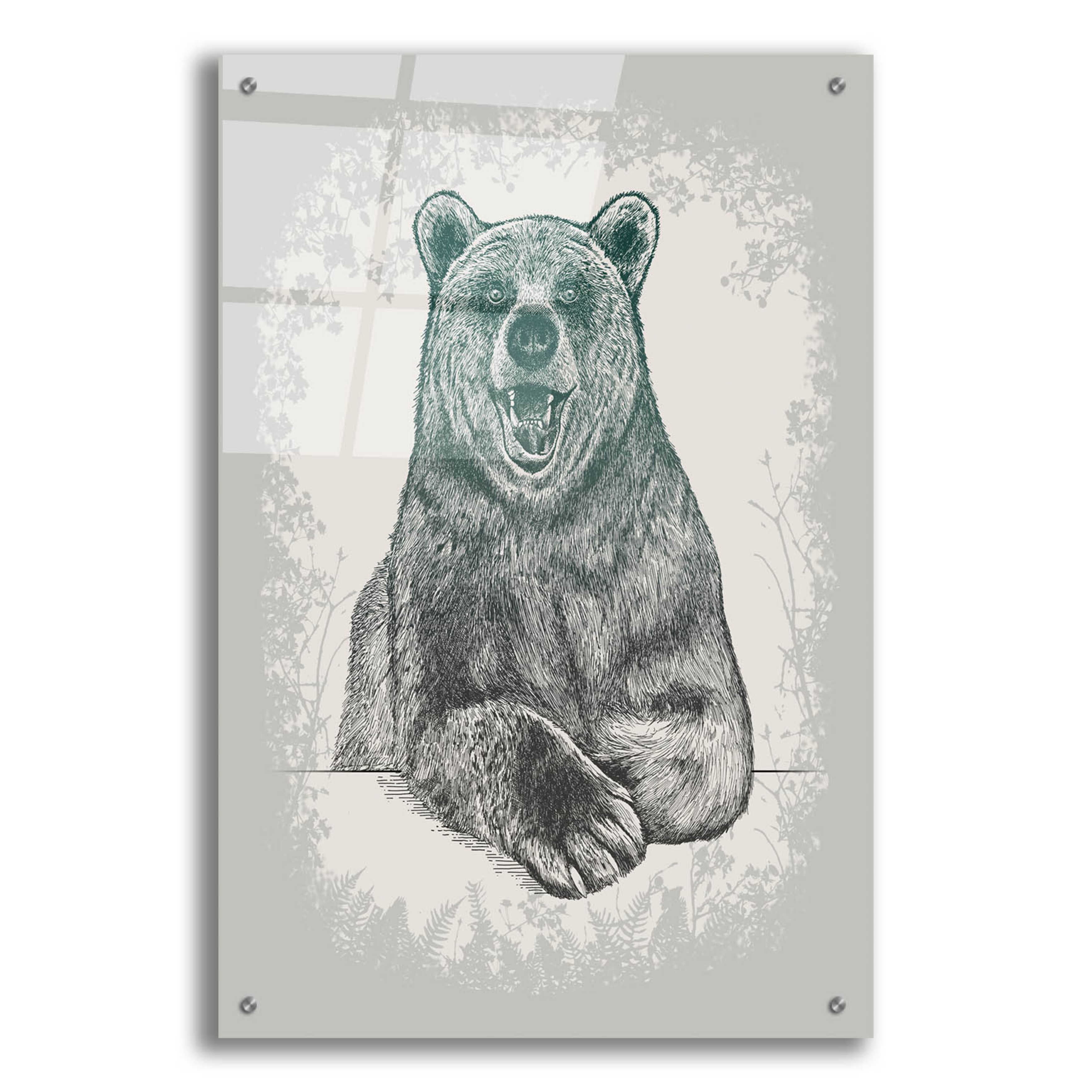 Epic Art 'Laughing Bear Etching' by Rachel Caldwell, Acrylic Glass Wall Art, 24"x36" - Walmart.com