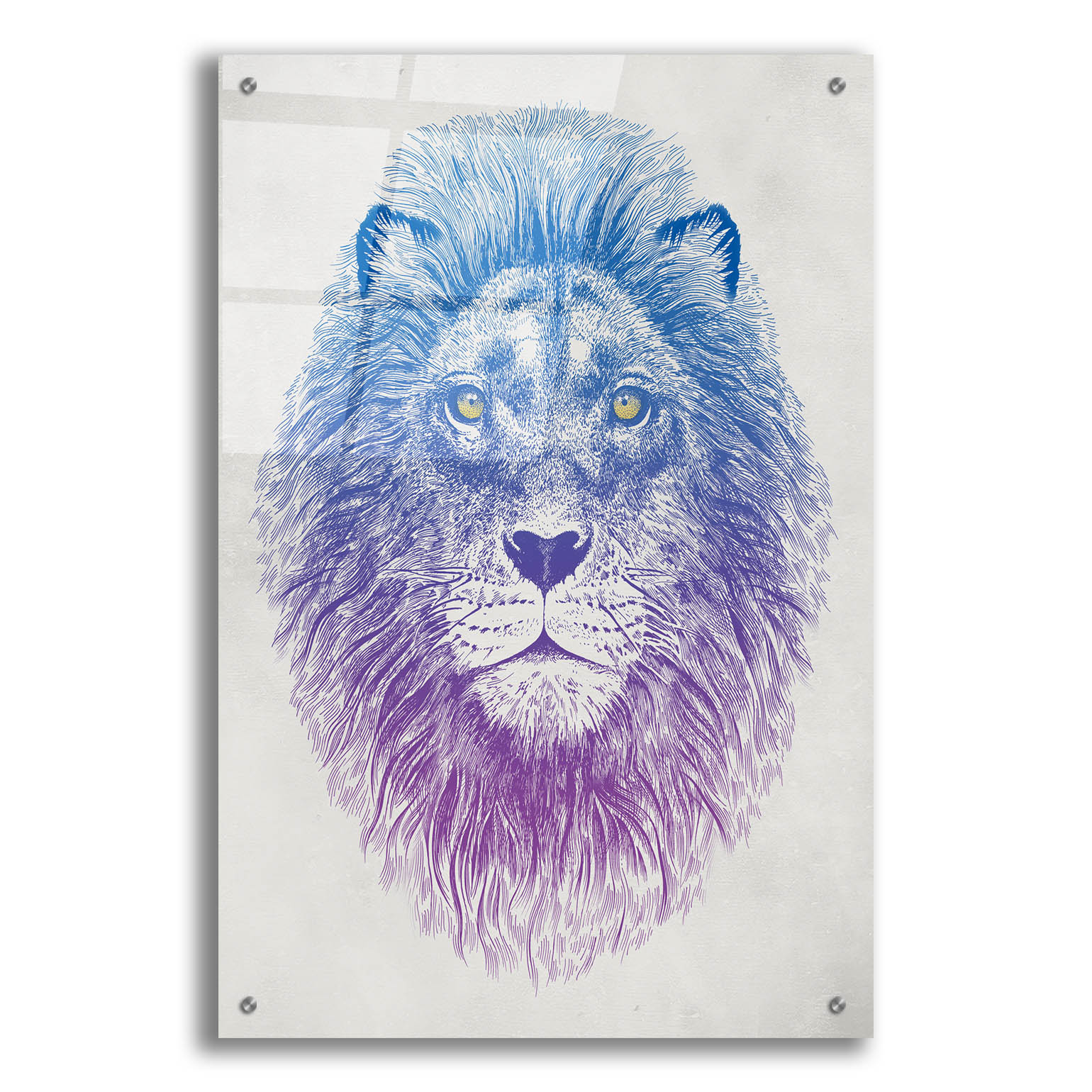 Epic Art 'Lion Face' by Rachel Caldwell, Acrylic Glass Wall Art, 24"x36" - Walmart.com