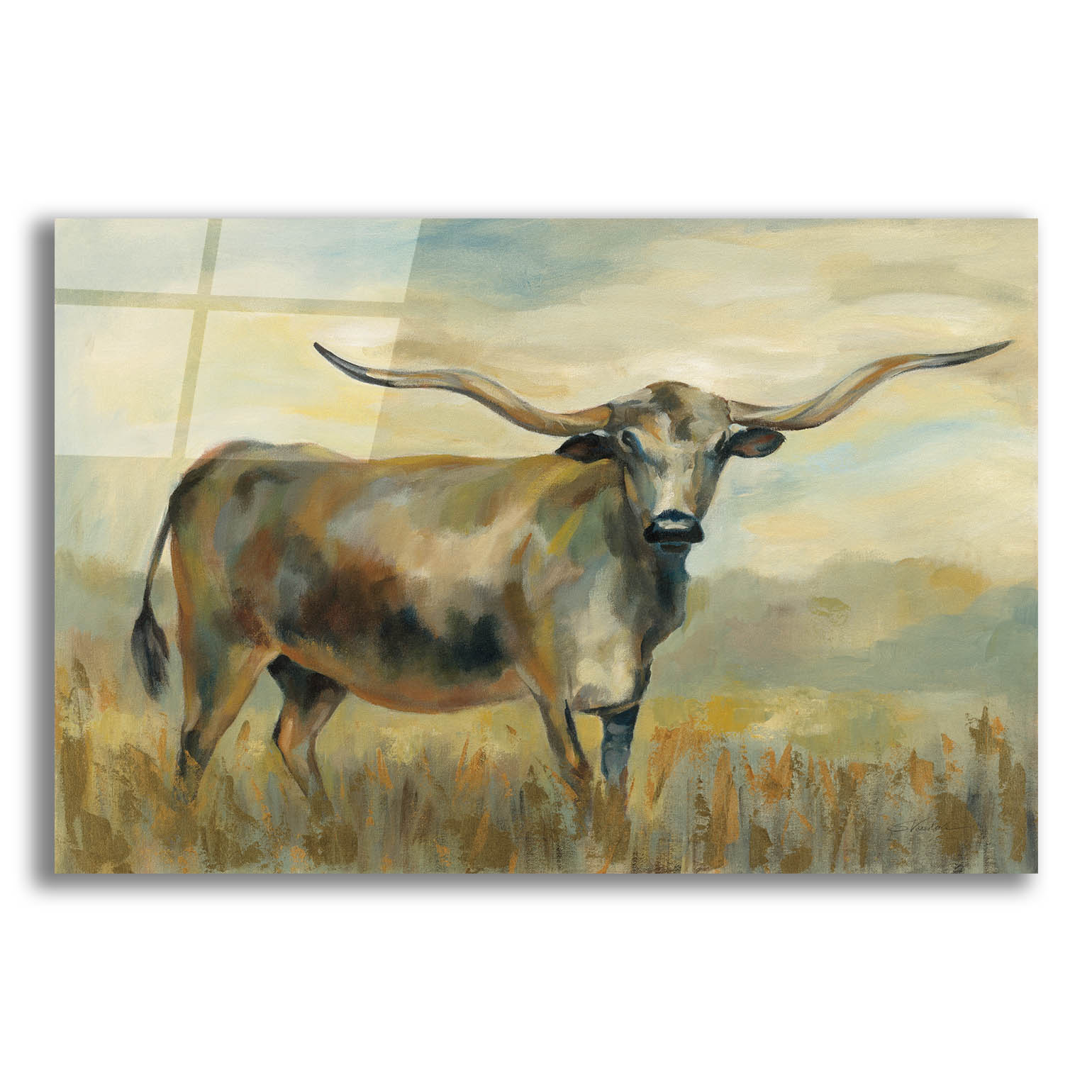 Epic Art 'Longhorn Cow' by Silvia Vassileva, Acrylic Glass Wall Art, 16 ...