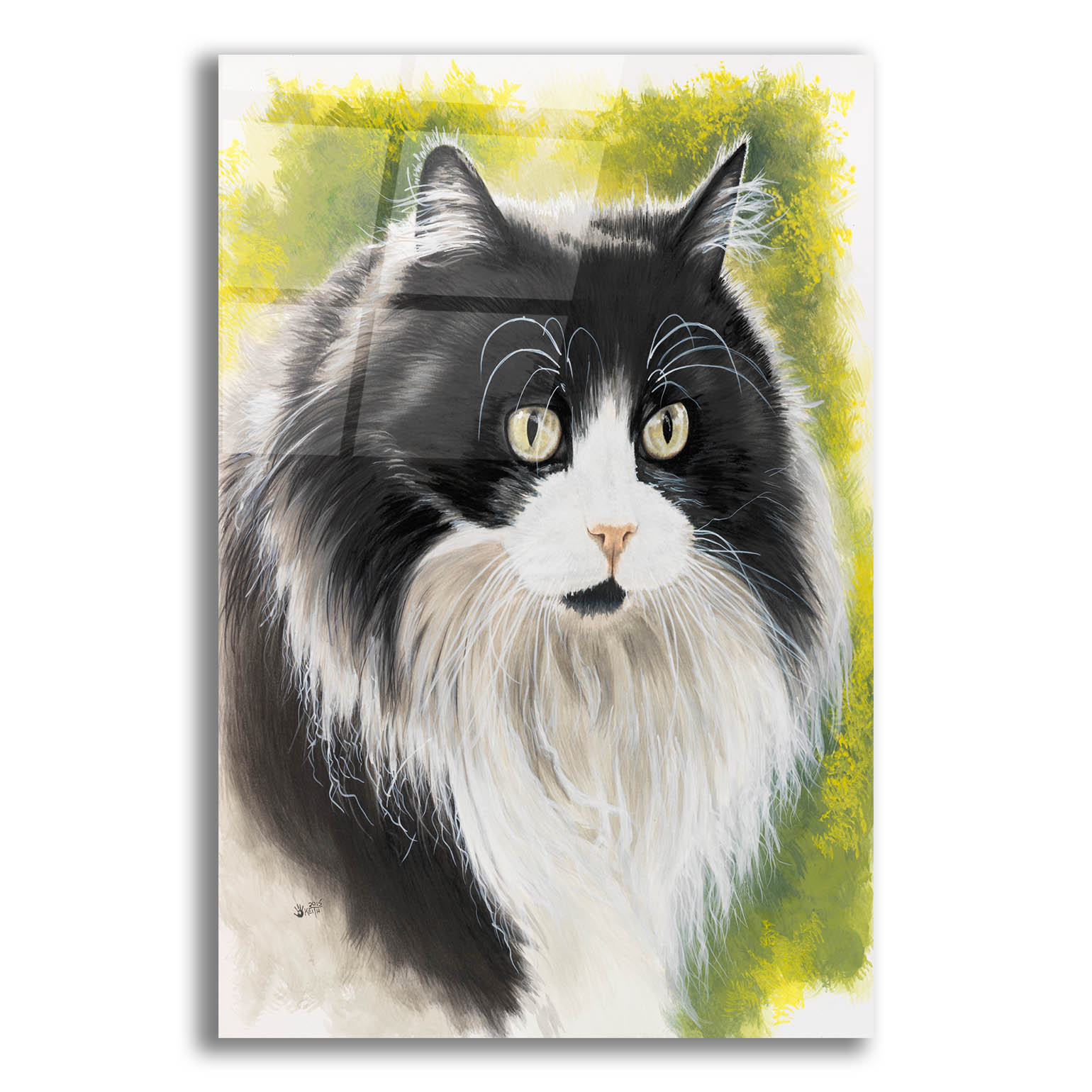 Epic Art 'Maine Coon 2' by Barbara Keith, Acrylic Glass Wall Art, 12 ...