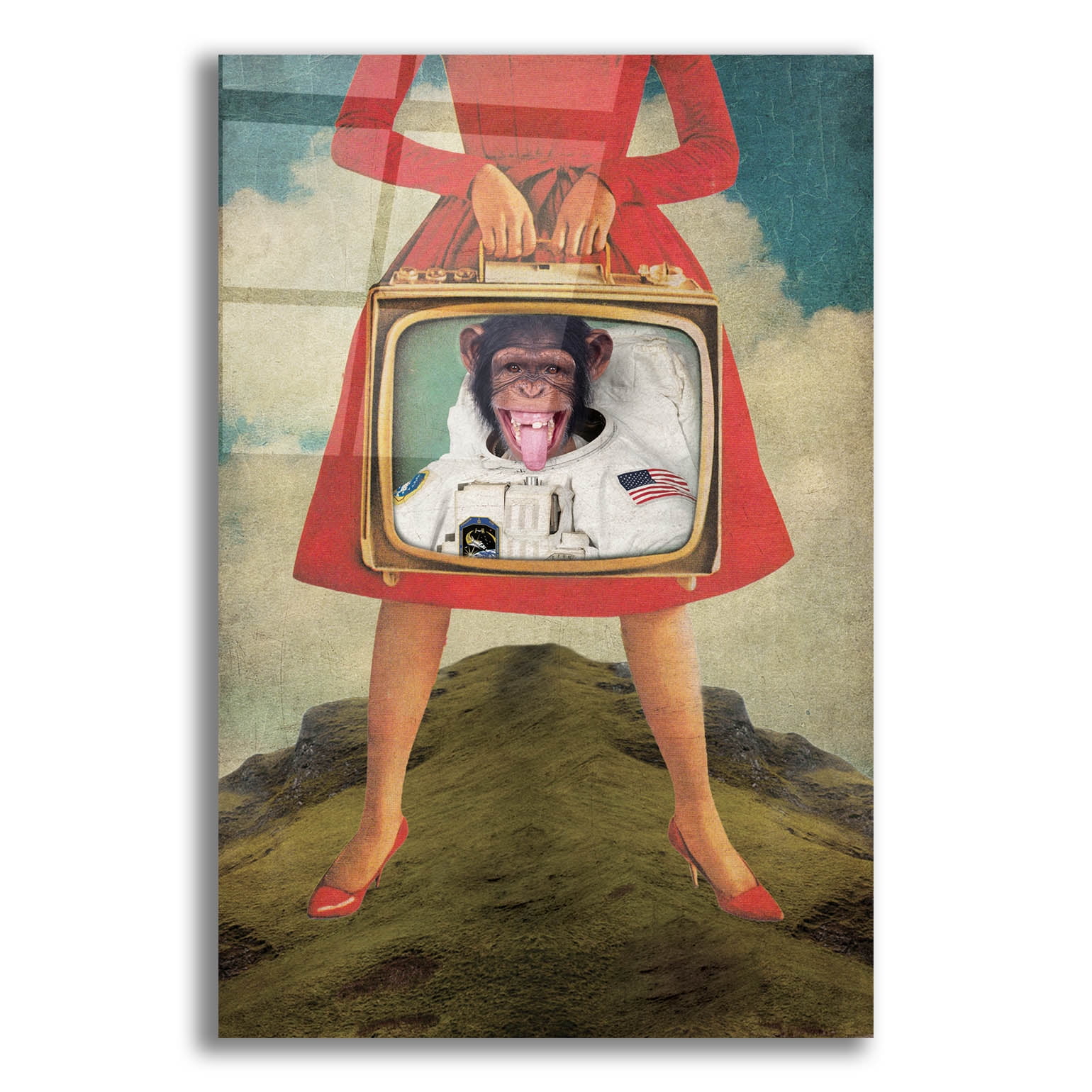 Epic Art 'Monkey See Monkey Do' by Elo Marc, Acrylic Glass Wall Art, 16 ...