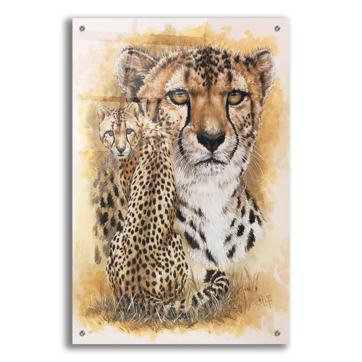 Epic Art 'Nimble' by Barbara Keith, Acrylic Glass Wall Art, 24"x36 ...