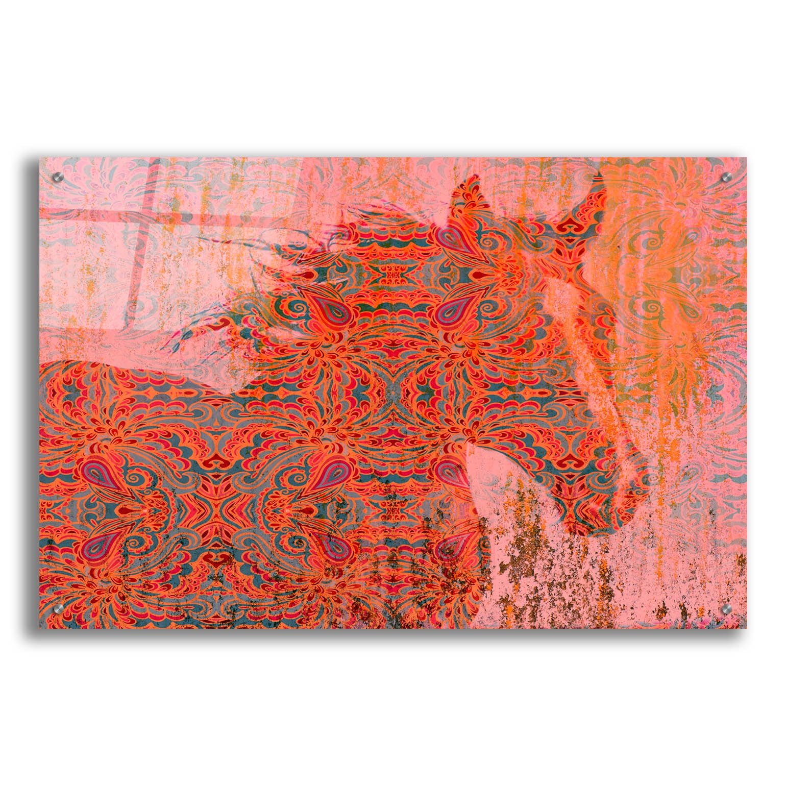 Epic Art 'Pattern Horse 2' by Irena Orlov, Acrylic Glass Wall Art, 36 ...