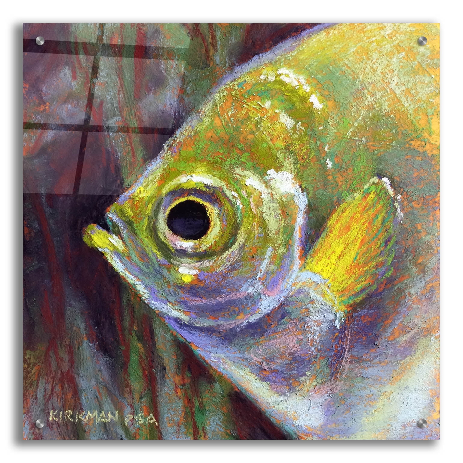 Epic Art 'Profile Of An Angelfish2 by Rita Kirkman, Acrylic Glass Wall ...
