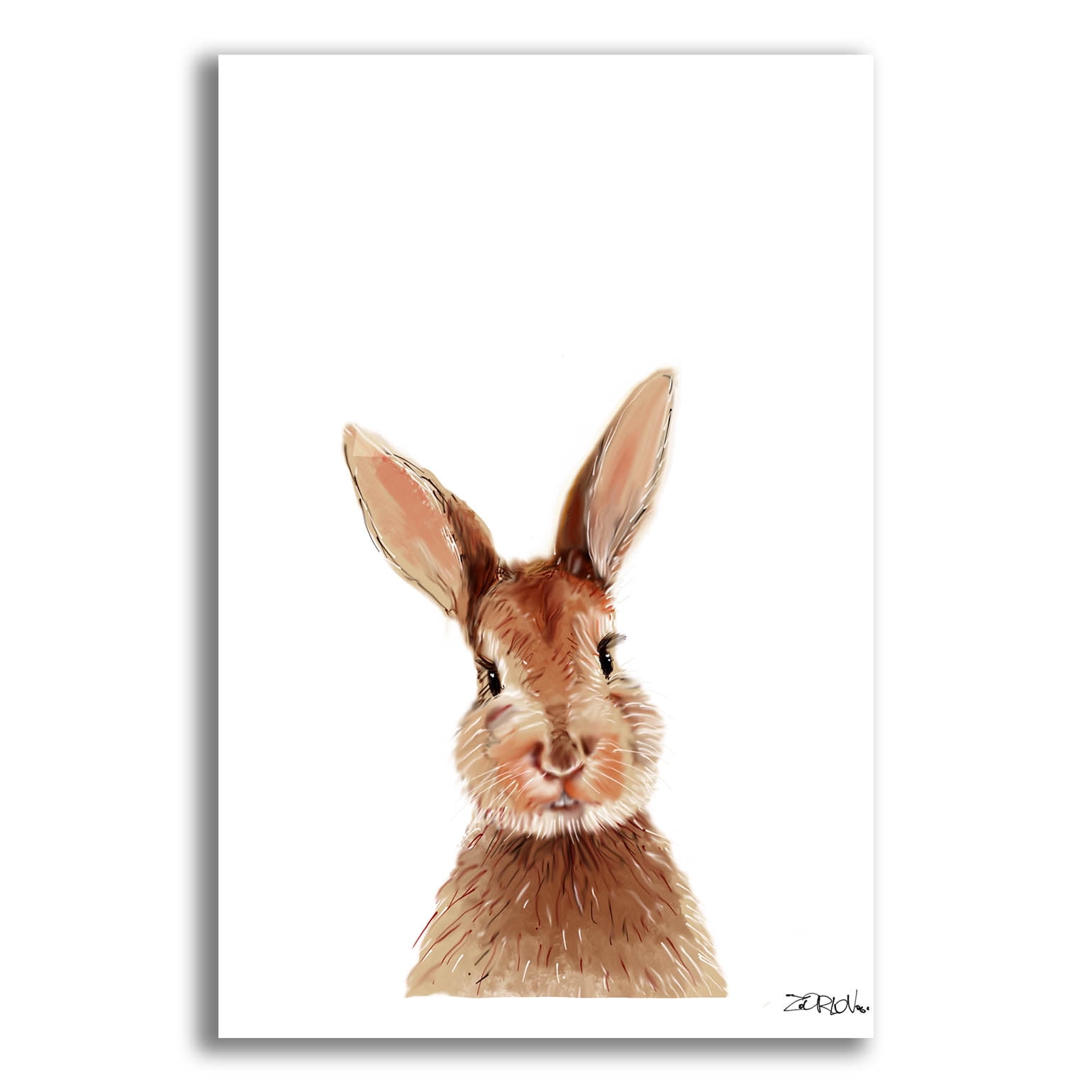 Epic Art 'Rabbit' by Irena Orlov, Acrylic Glass Wall Art, 12"x16 ...