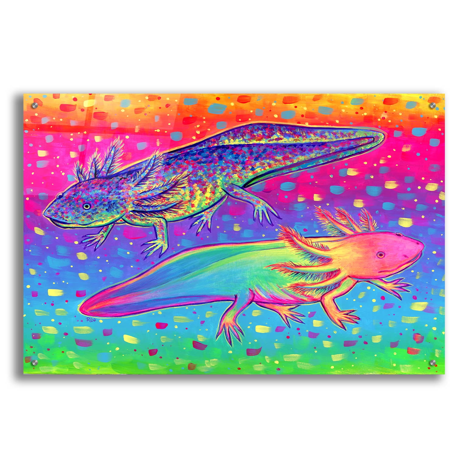 Epic Art 'Rainbow Axolotls' by Rebecca Wang Art Acrylic Glass Wall Art ...