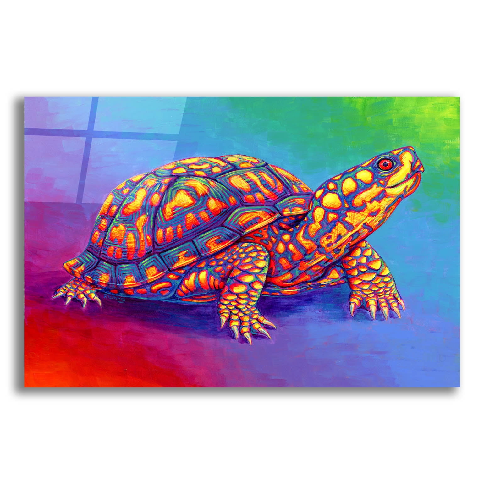 Epic Art 'Rainbow Eastern Box Turtle' by Rebecca Wang Art, Acrylic ...