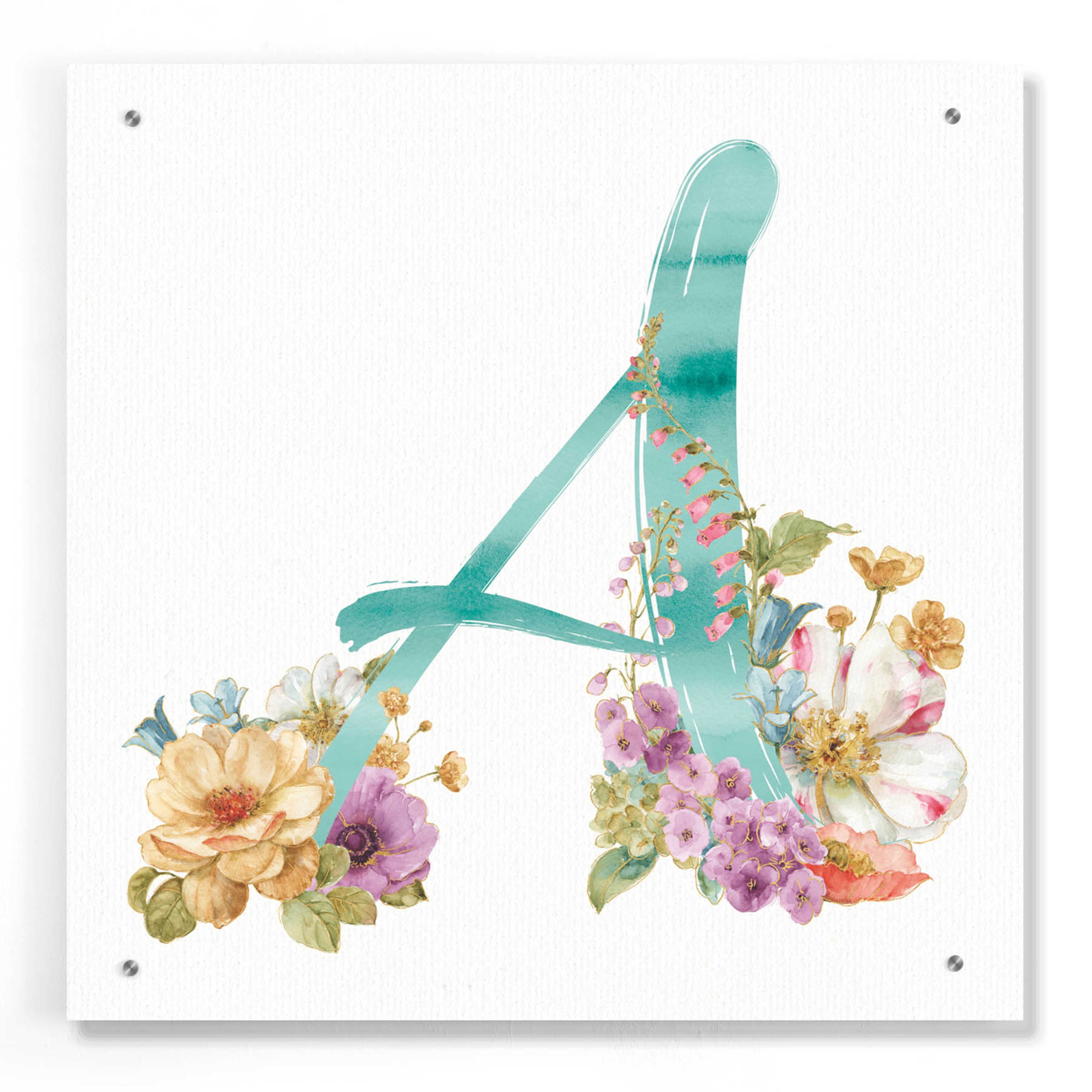 Epic Art 'Rainbow Seeds Monogram A,' by Lisa Audit, Acrylic Glass Wall ...