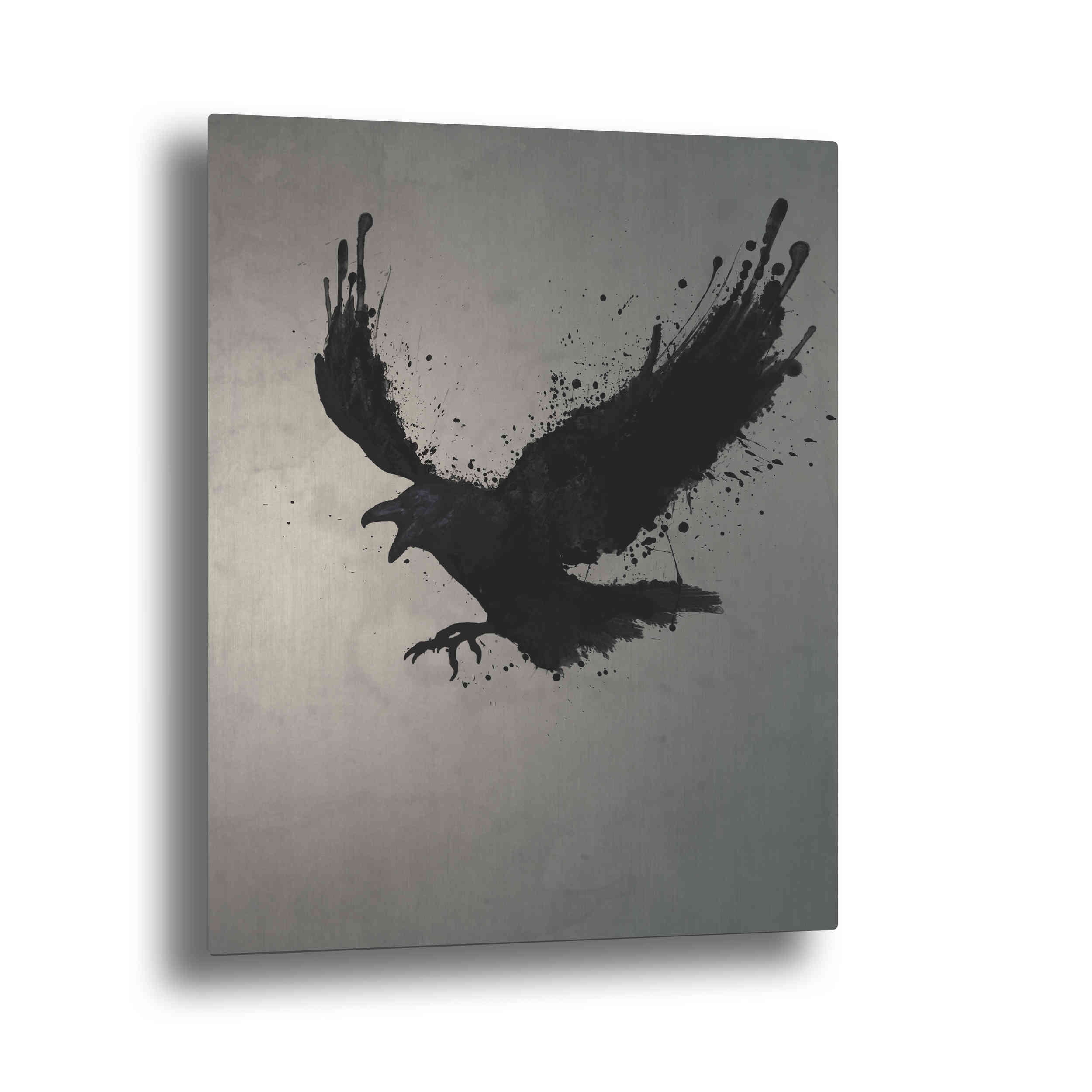 Epic Art "Raven" by Nicklas Gustafsson, on Brushed Aluminum 16"x24 ...