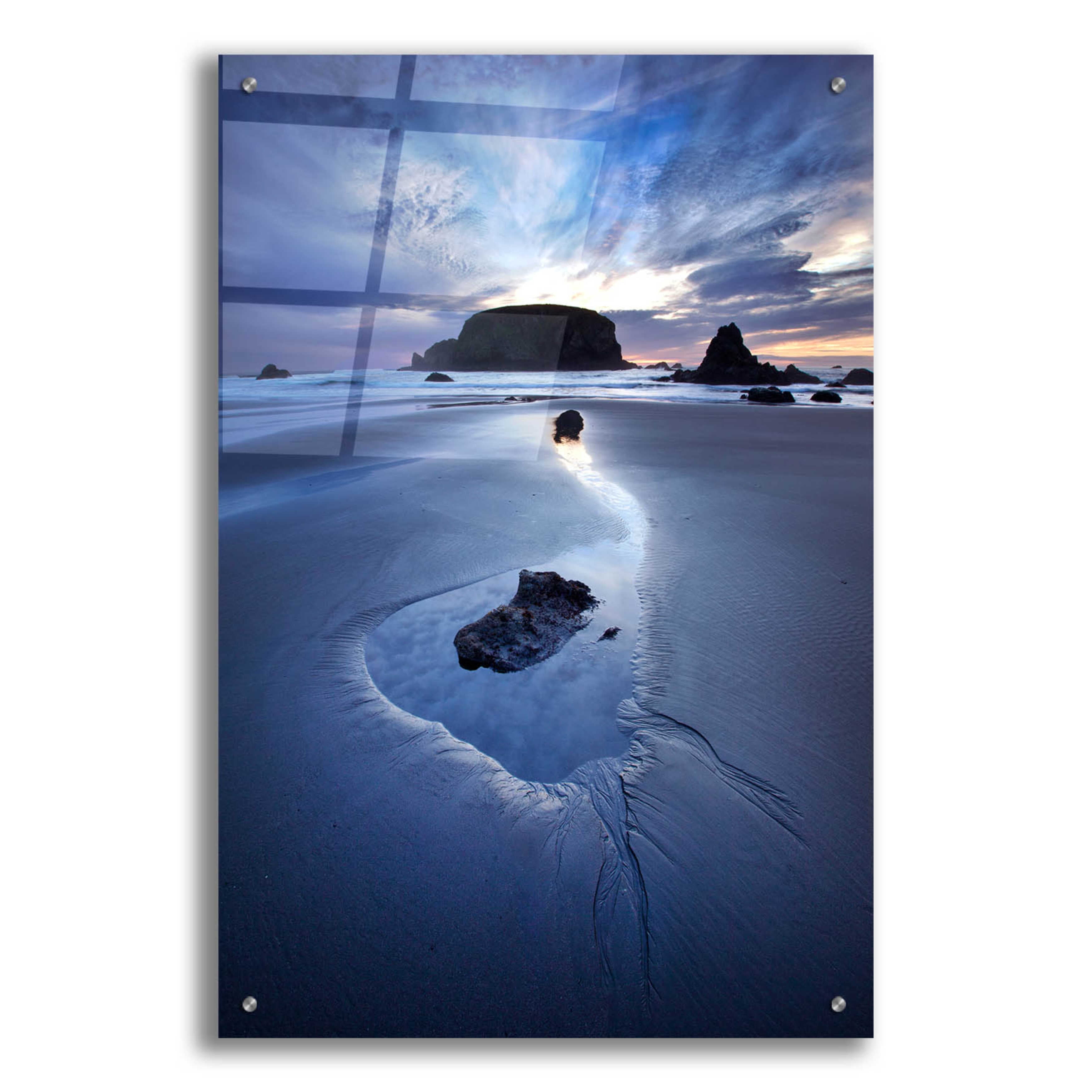 Epic Art 'Reflection Whale Head' by Thomas Haney, Acrylic Glass Wall ...