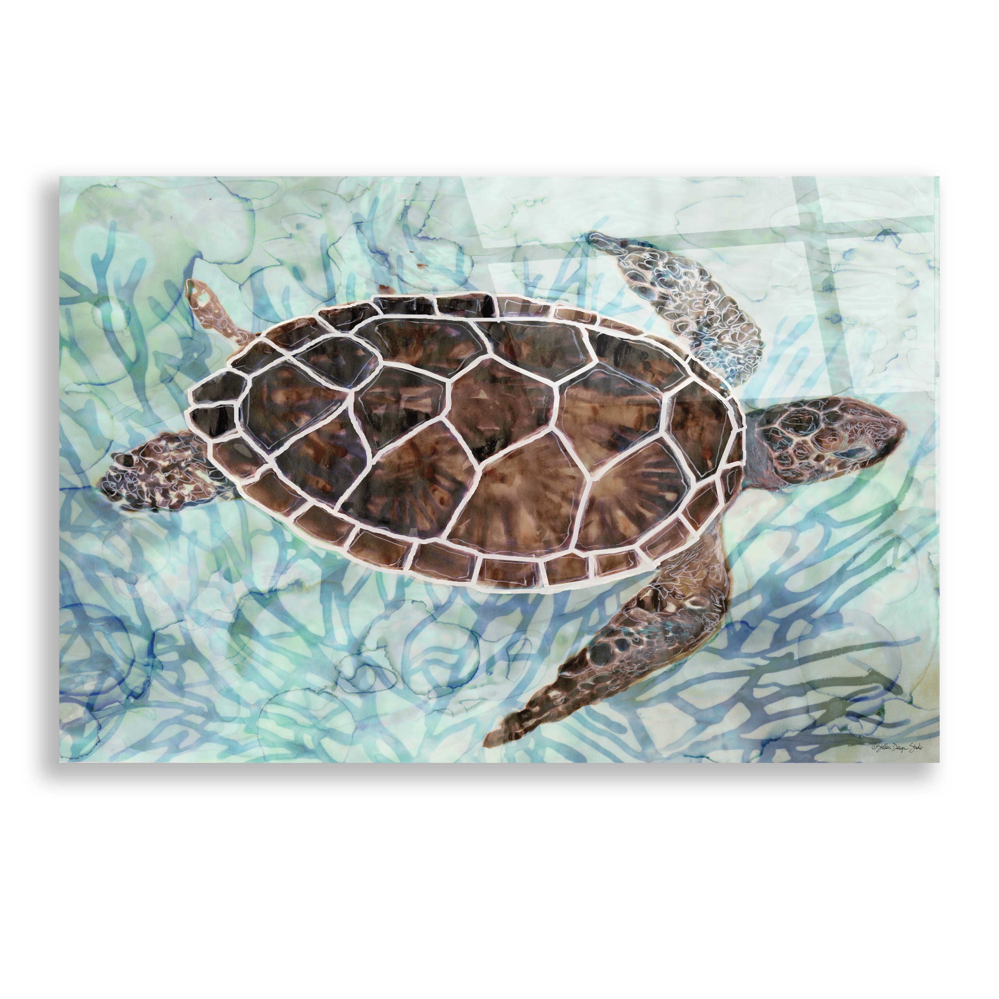 Epic Art 'Sea Turtle Collage 1' by Stellar Design Studio, Acrylic Glass ...