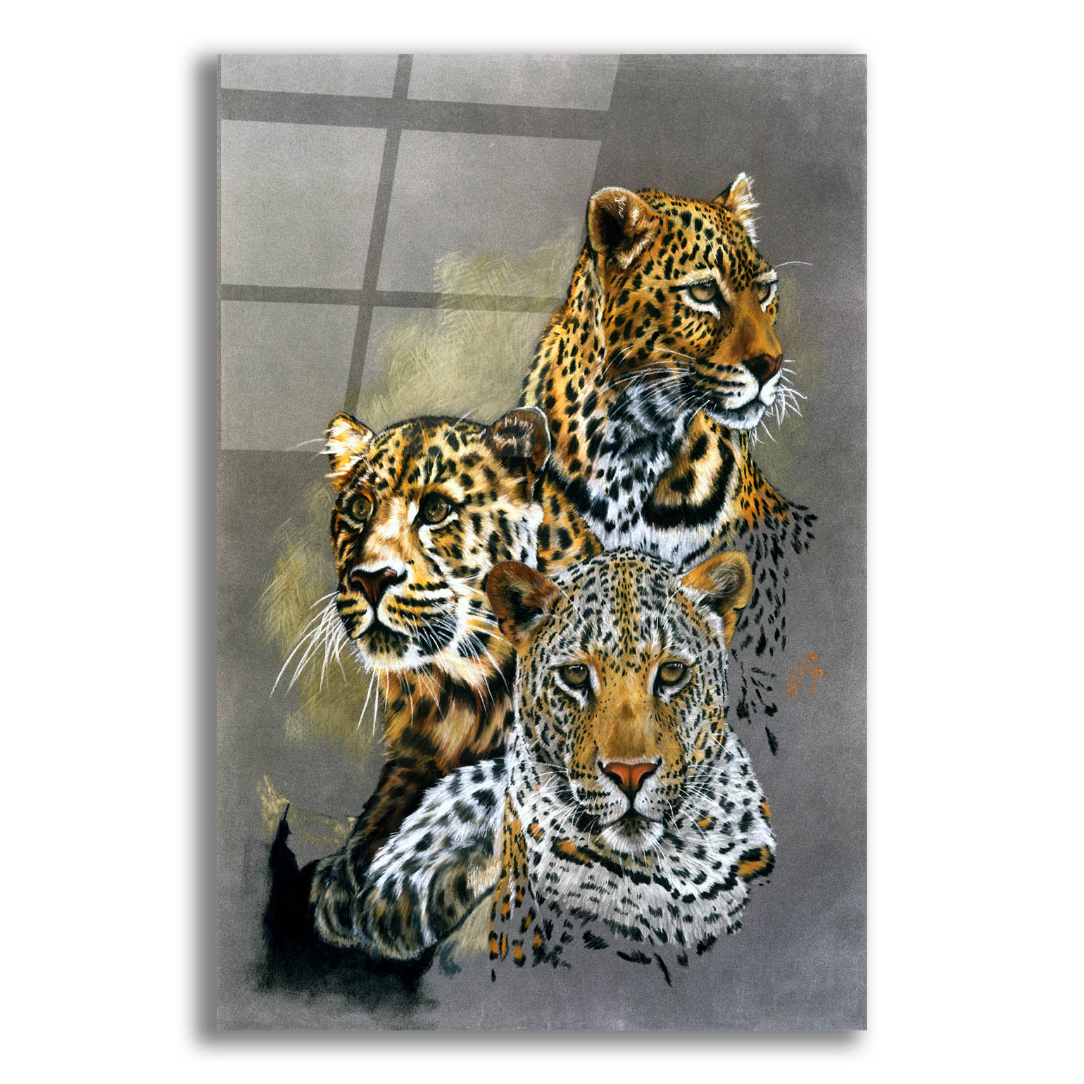 Epic Art 'Shadow Hunter' by Barbara Keith, Acrylic Glass Wall Art, 12 ...