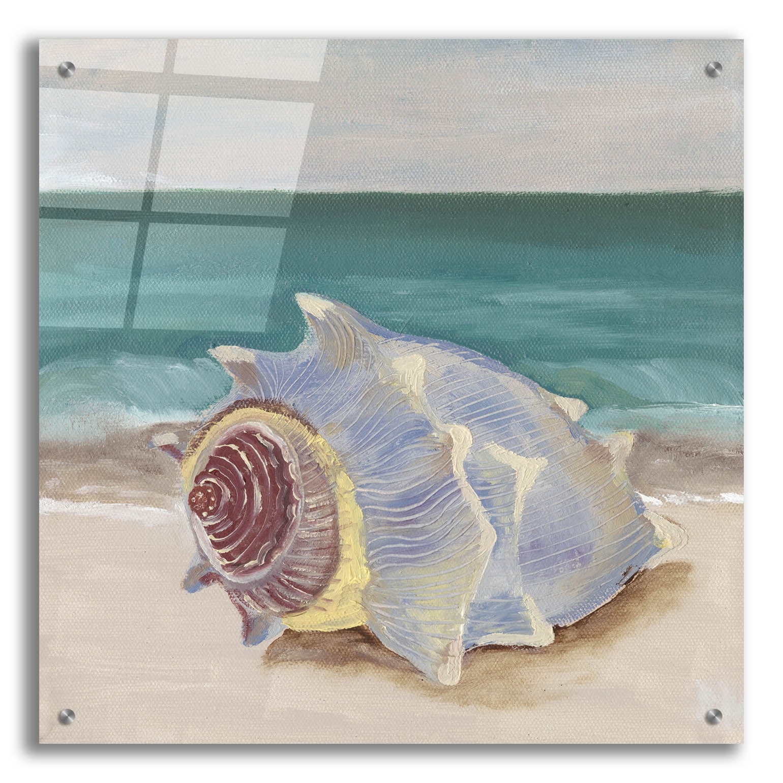 Epic Art 'She Sells Seashells 1' by Alicia Ludwig Acrylic Glass Wall ...