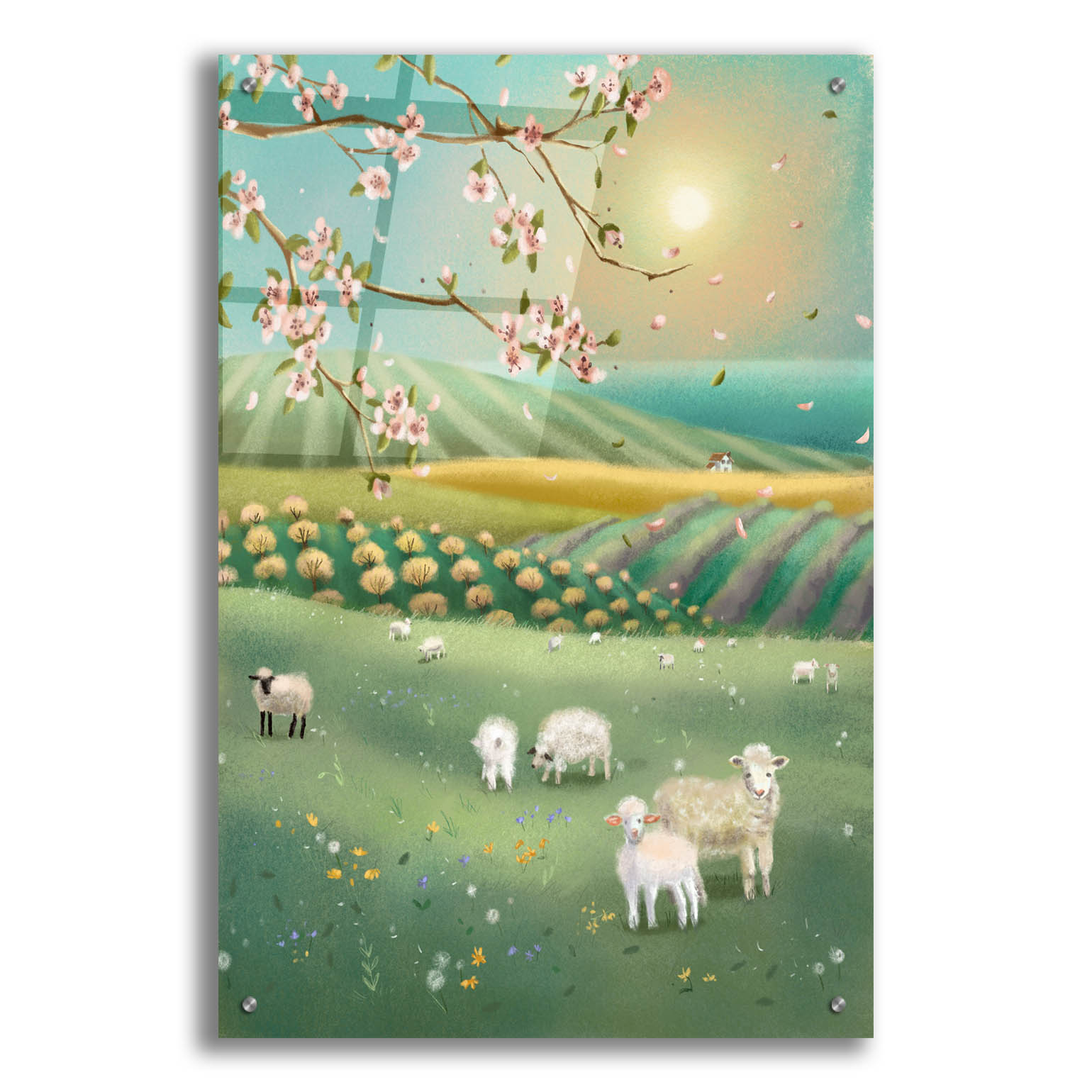 Epic Art 'Sheep On The Farm' by Christine Rotolo, Acrylic Glass Wall ...