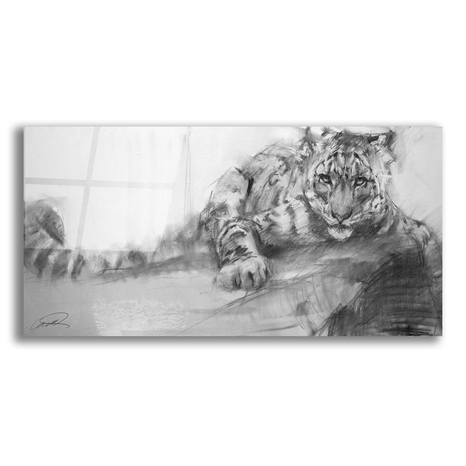 Epic Art 'Snow Leopard reclining sketch' by Robert Campbell, Acrylic ...