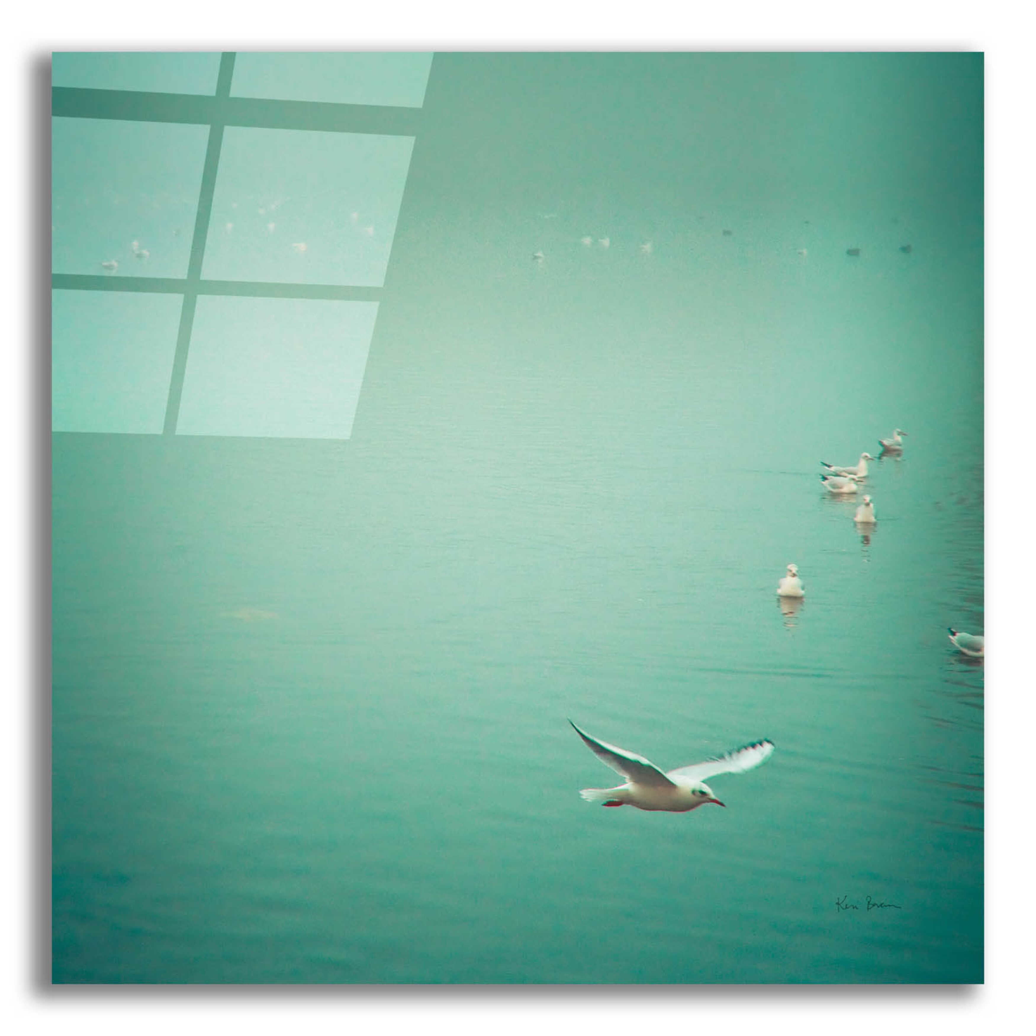 Epic Art 'Soul Birds' by Keri Bevan, Acrylic Glass Wall Art, 12"x12 ...