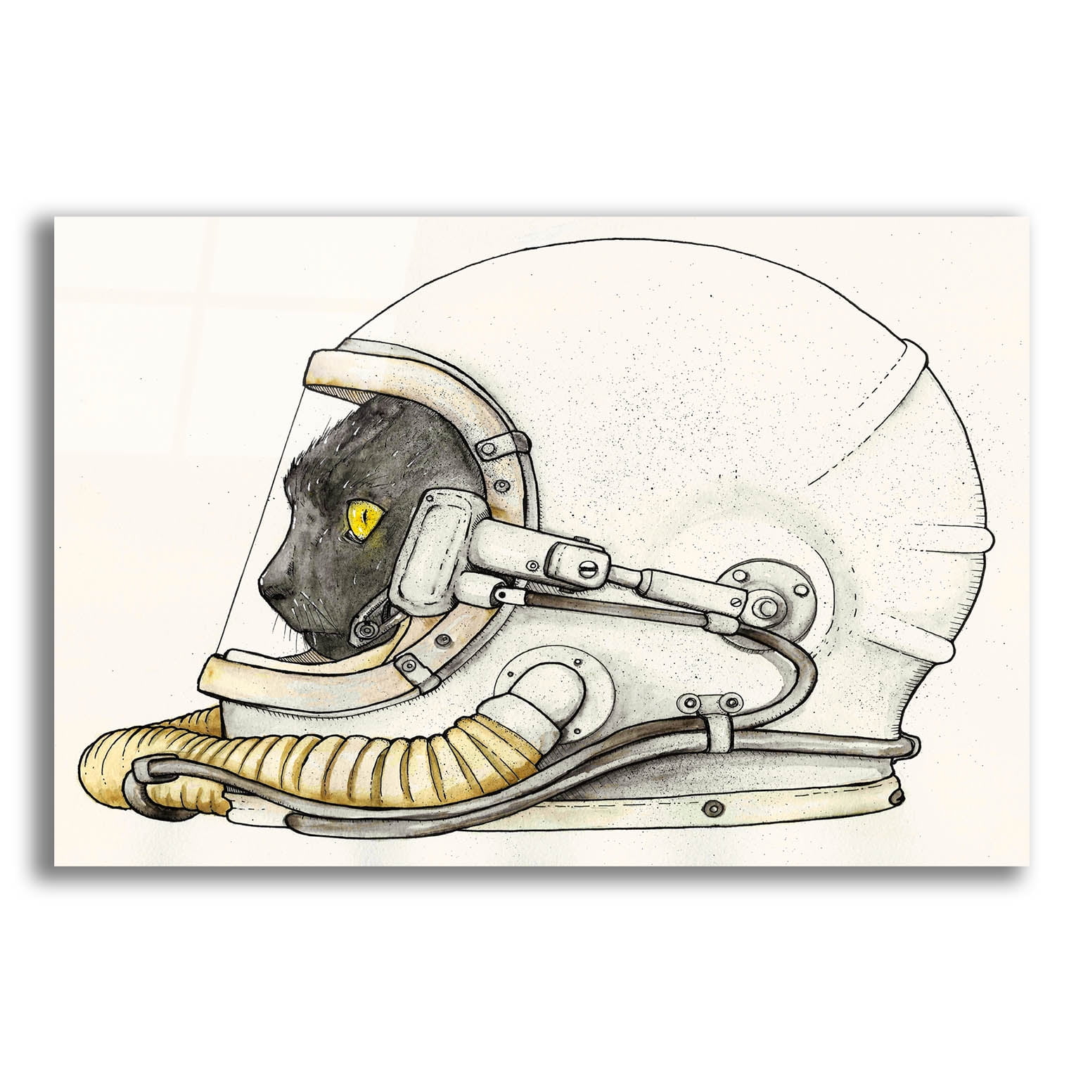 Epic Art 'Space Kitteh II' by Craig Snodgrass, Acrylic Glass Wall Art ...