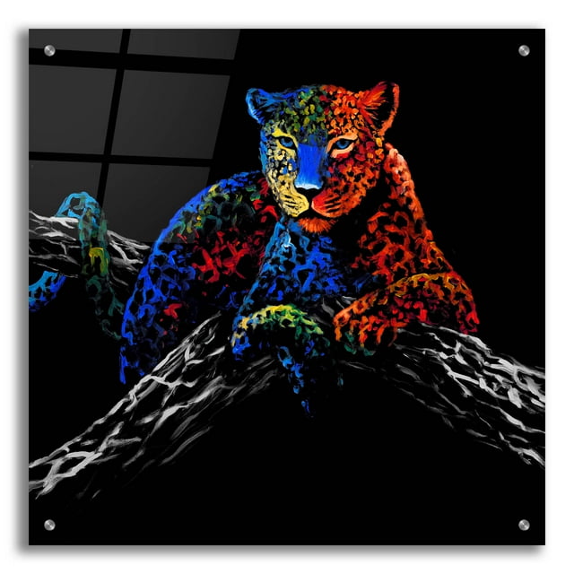 Epic Art ' The Cheetah' by Incado, Acrylic Glass Wall Art, 24"x24 ...