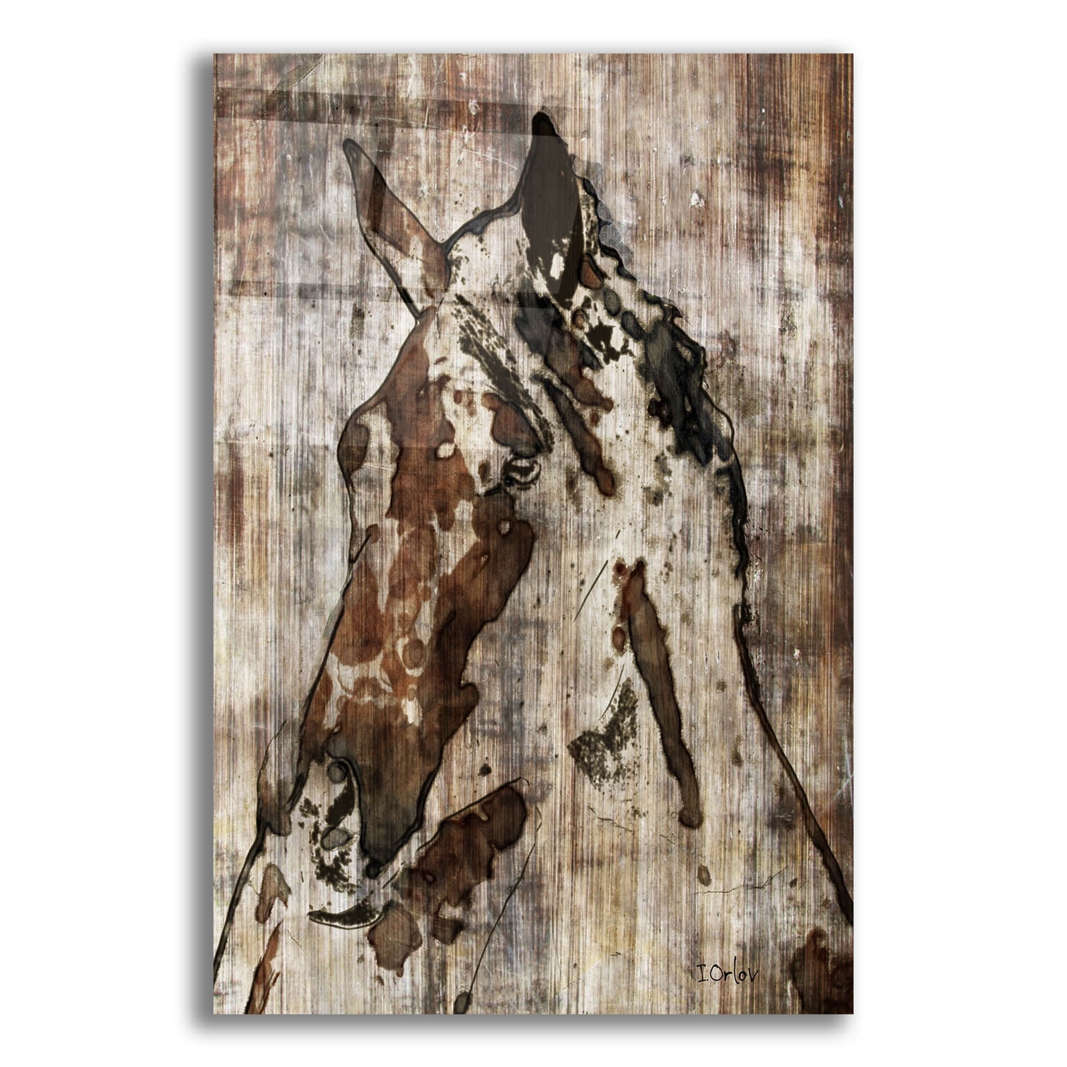 Epic Art 'Thumper' by Irena Orlov, Acrylic Glass Wall Art, 16"x24 ...