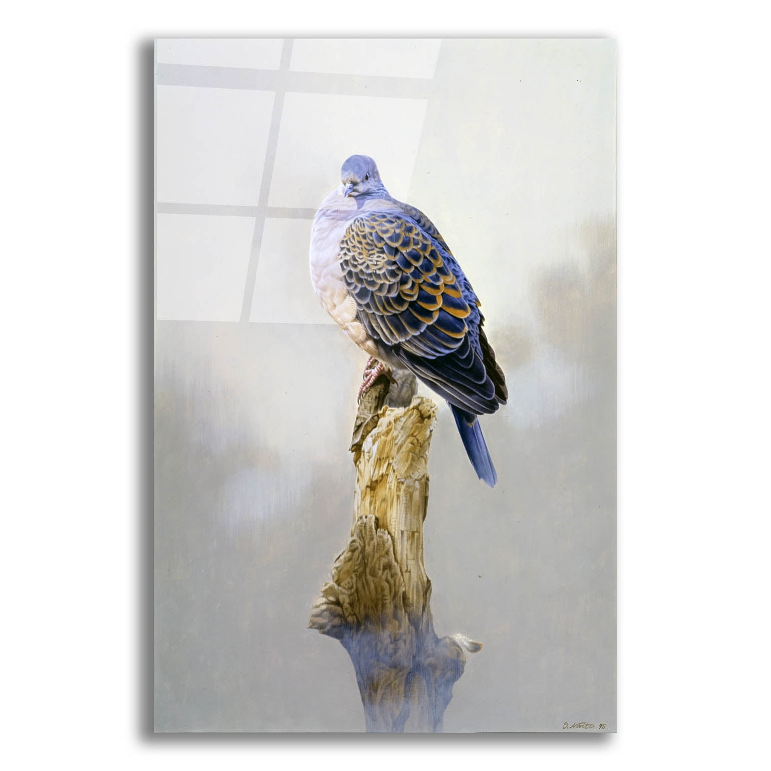 Epic Art 'Turtle Dove' by Joh Naito, Acrylic Glass Wall Art, 12"x16 ...