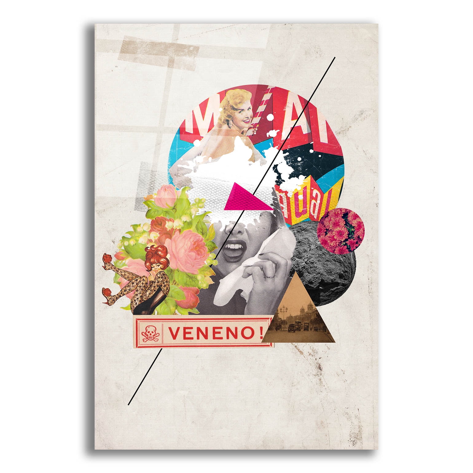 Epic Art 'Veneno' by Elo Marc, Acrylic Glass Wall Art, 16"x24 ...