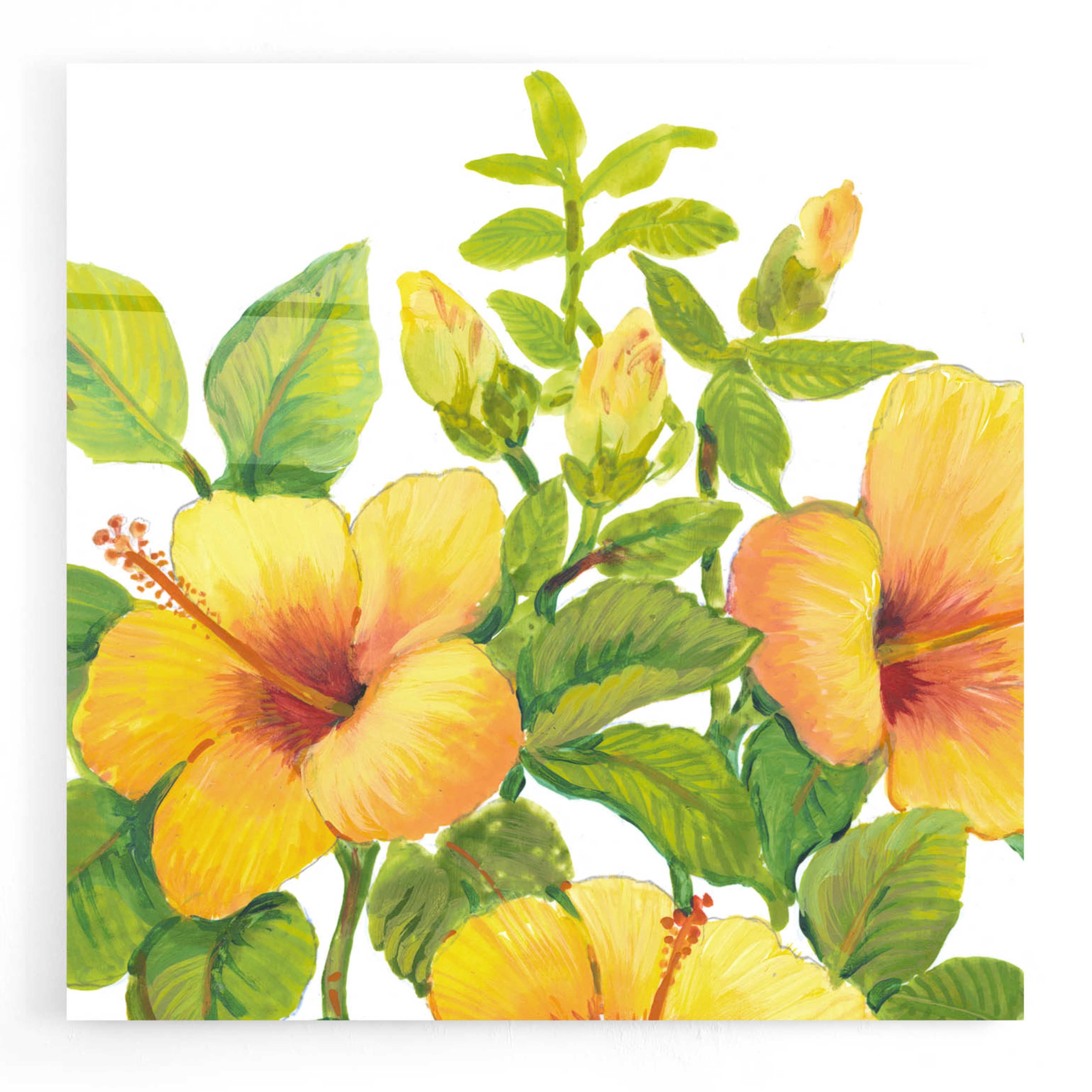 Epic Art 'Watercolor Hibiscus I' by Tim O'Toole, Acrylic Glass Wall Art ...
