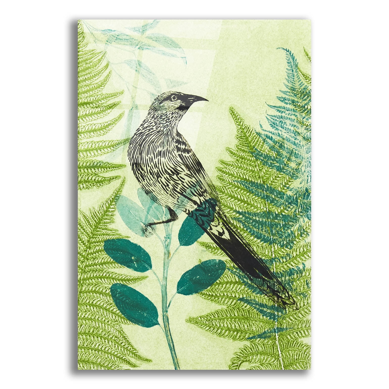 Epic Art ' Wattlebird Hiding in the Fernery' by Trudy Rice, Acrylic ...
