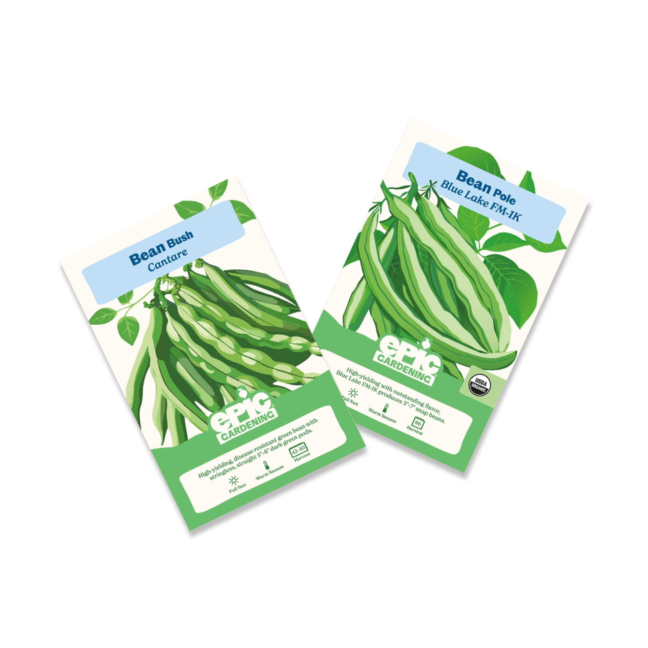 Epic Gardening Bean Seed Bundle - ZLK1 2 Non-GMO Varieties, Includes Bush Beans & Pole Beans ...