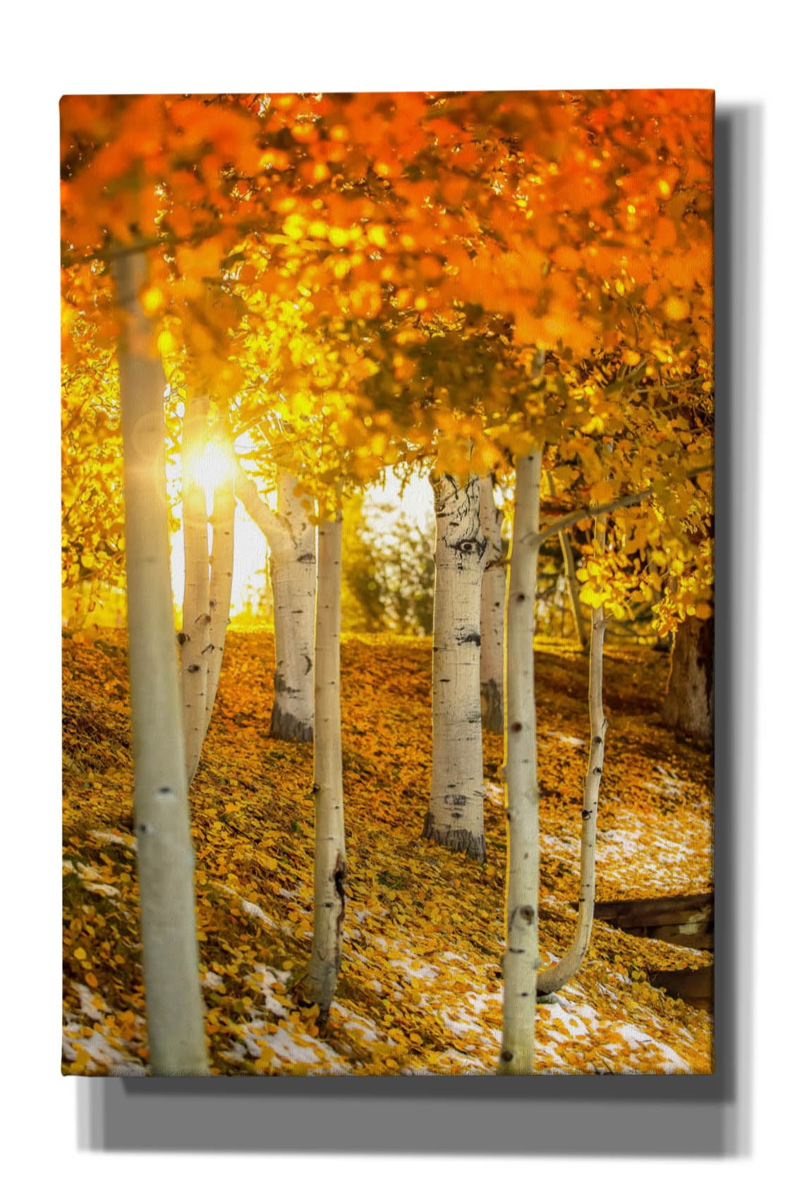 Epic Graffiti 'Aspen Glow' by Jonathan Ross, Canvas Wall Art, 12"x18 ...