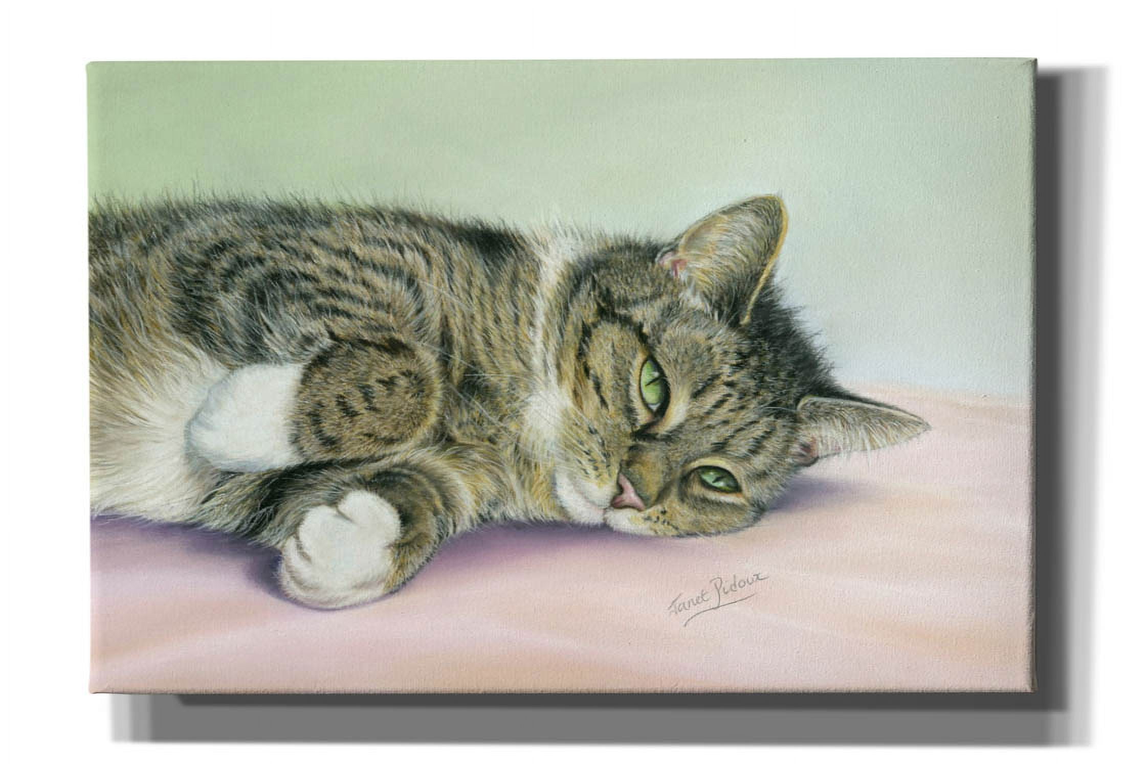Epic Graffiti 'Attention Seeker' by Janet Pidoux, Canvas Wall Art, 60 ...