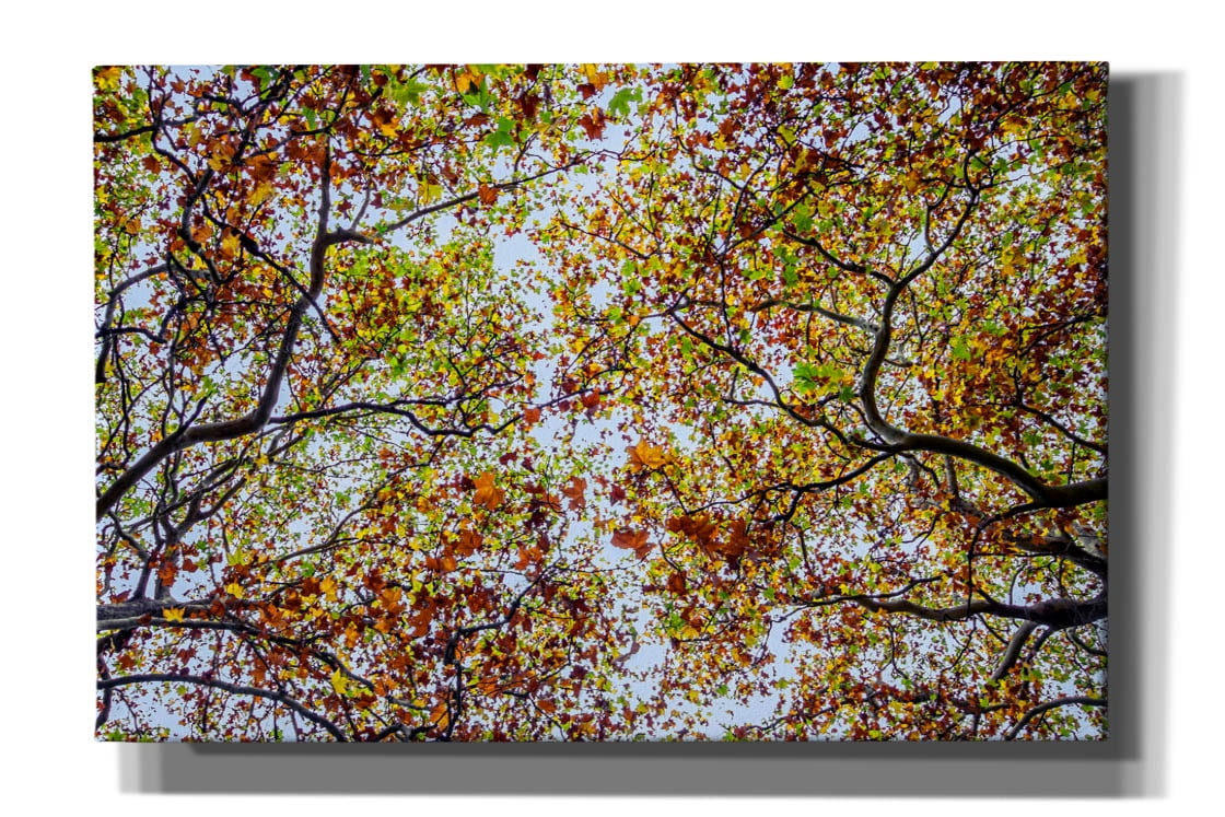 Epic Graffiti 'Autumn Colors' by SD Smart, Canvas Wall Art, 60"x40 ...