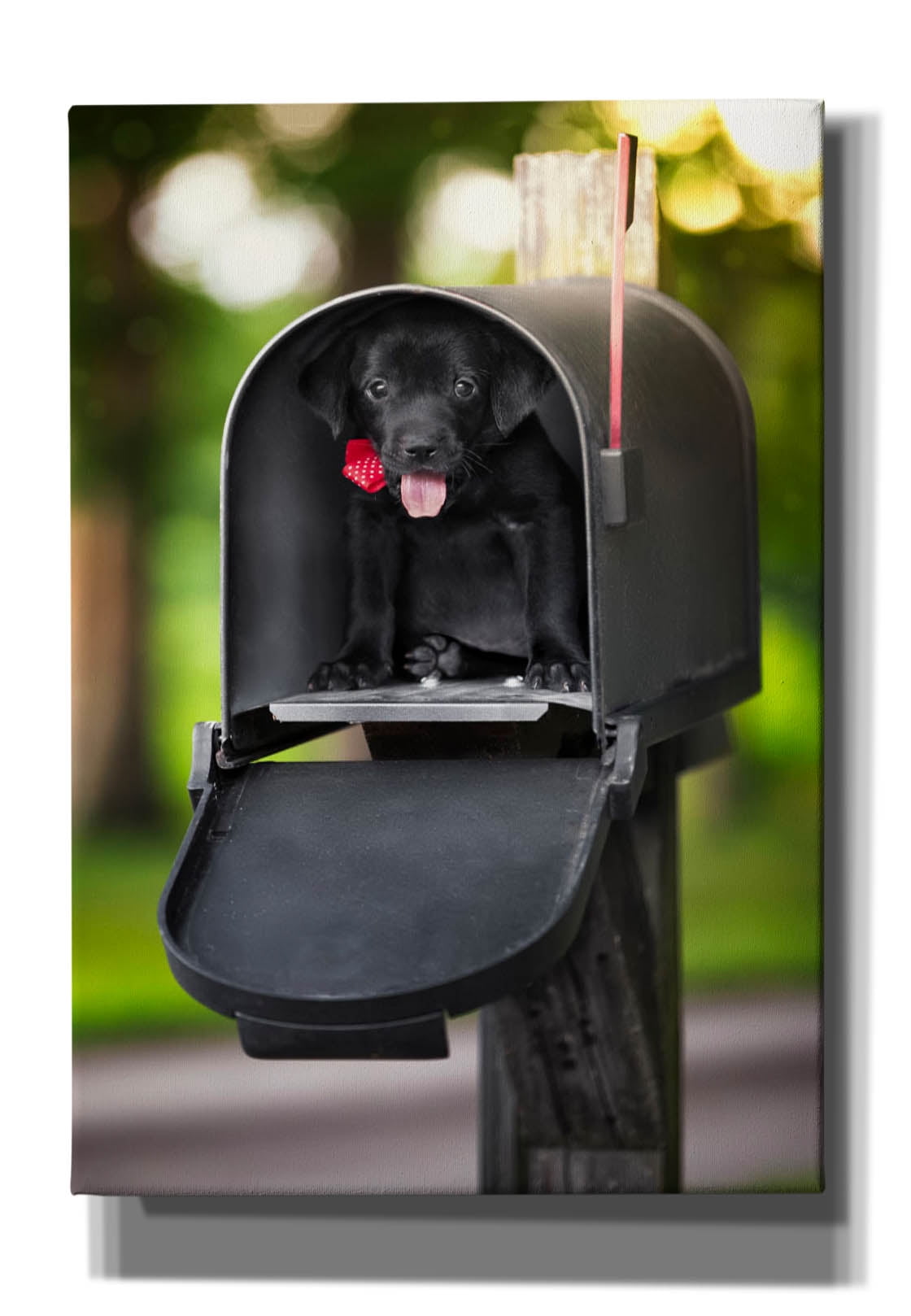 Epic Graffiti 'Black Lab Special Delivery' by Jonathan Ross, Canvas ...