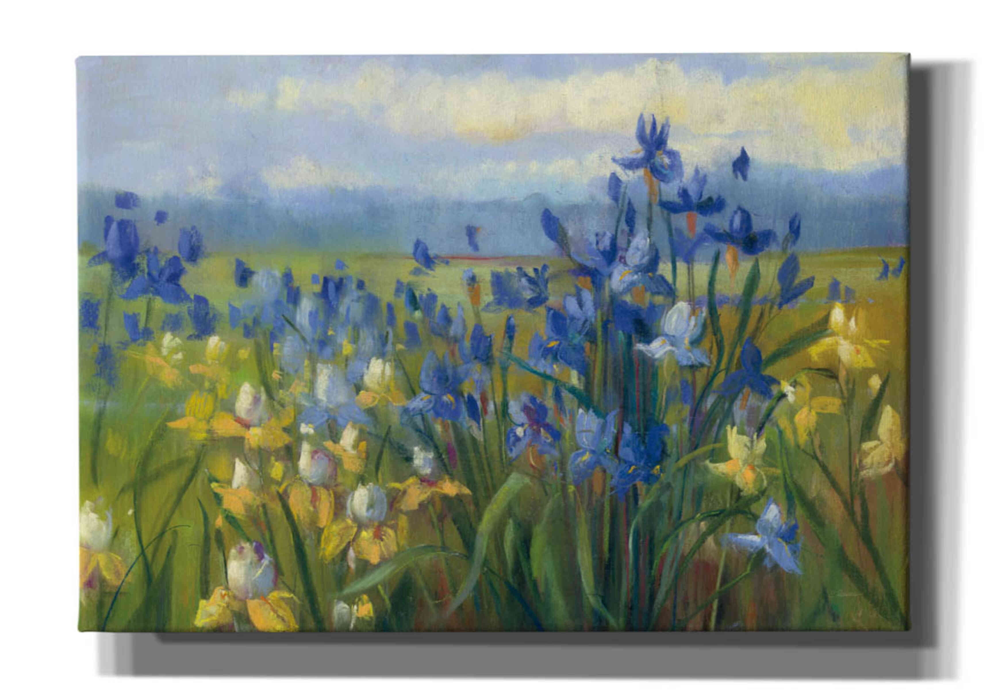 Epic Graffiti 'Blue And Yellow Flower Field V2' by Carol Rowan, Giclee ...