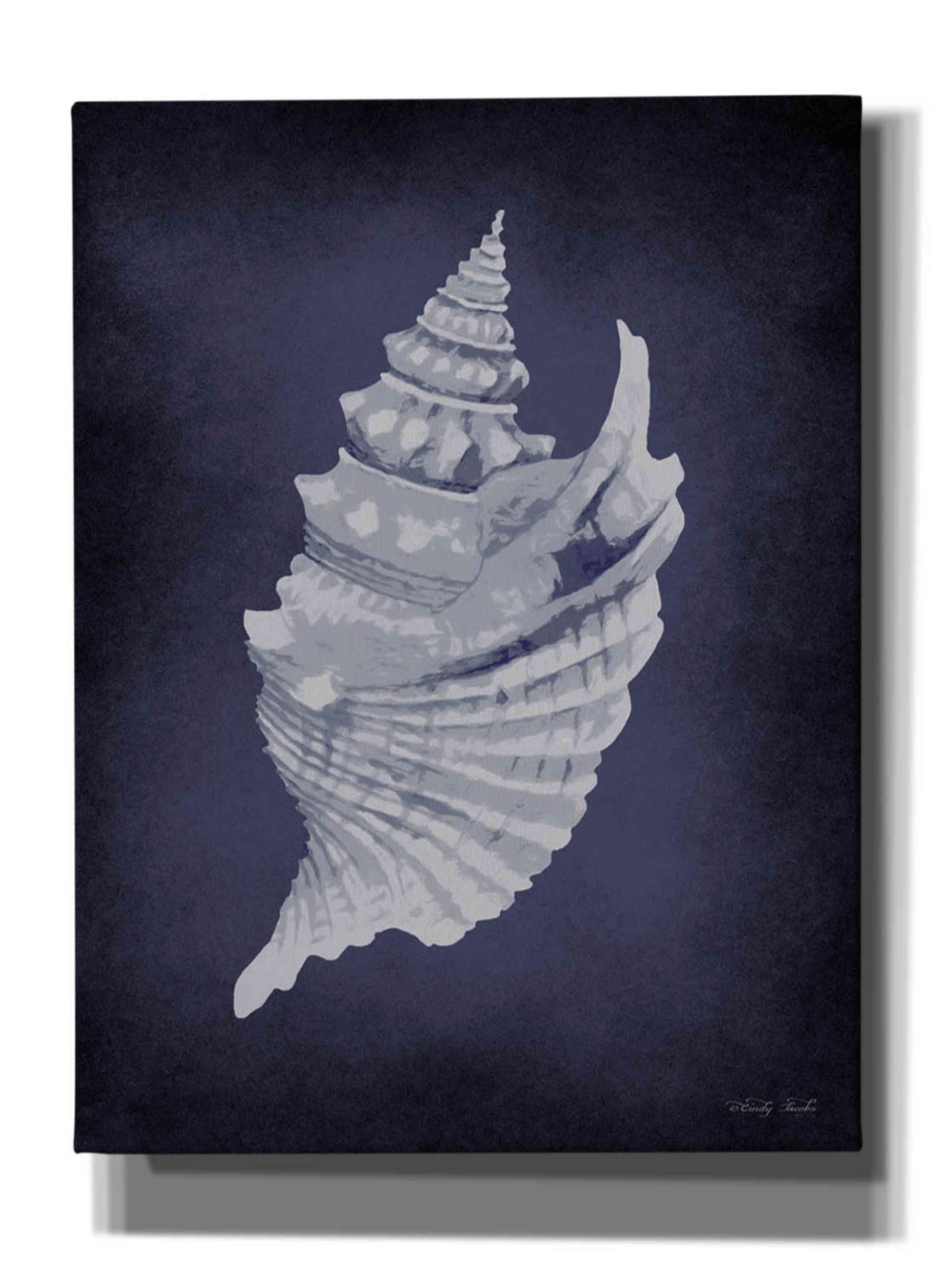 Epic Graffiti 'Blue Seashell I' by Cindy Jacobs, Canvas Wall Art, 12 ...