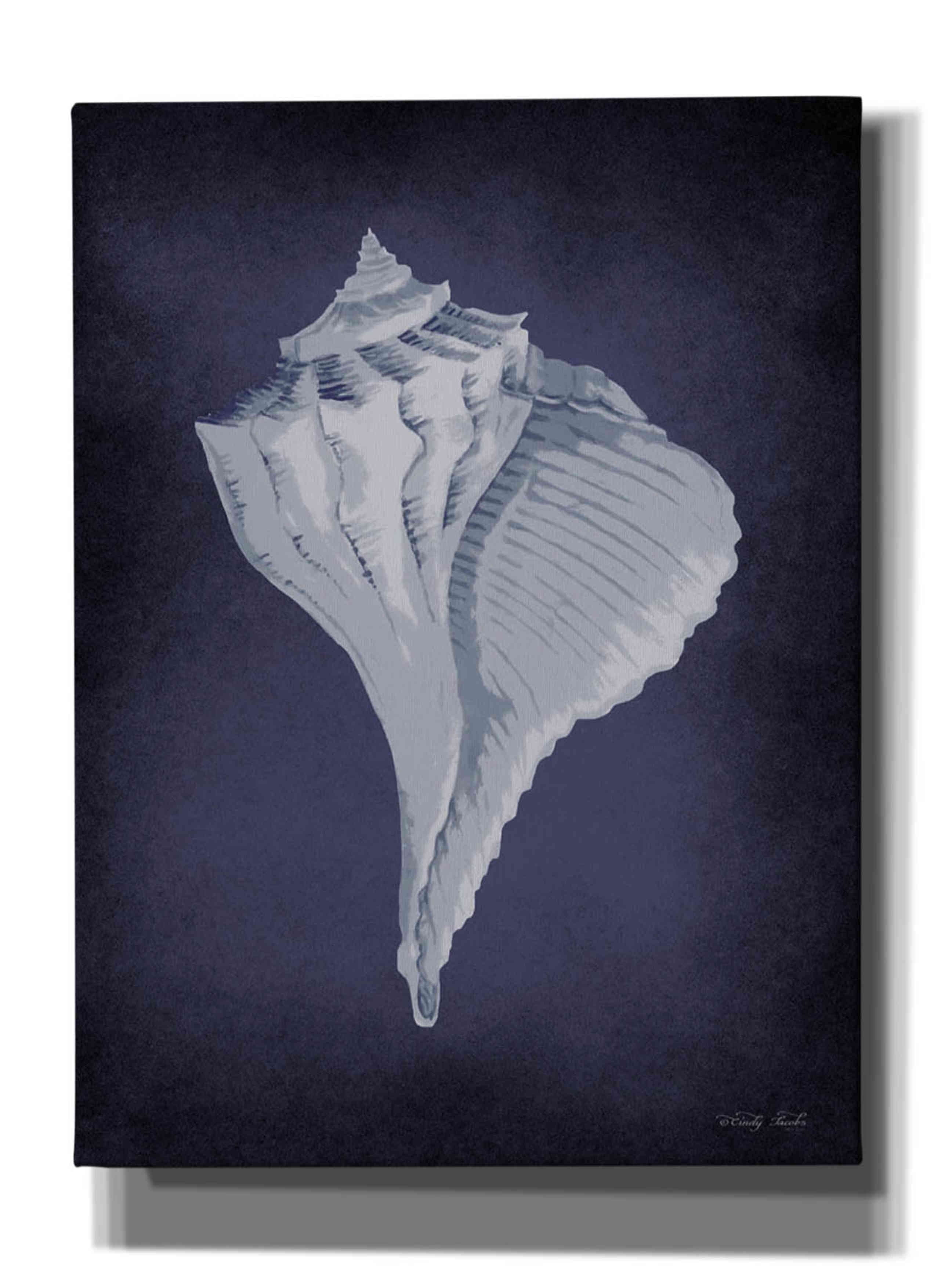 Epic Graffiti 'Blue Seashell II' by Cindy Jacobs, Canvas Wall Art, 40 ...