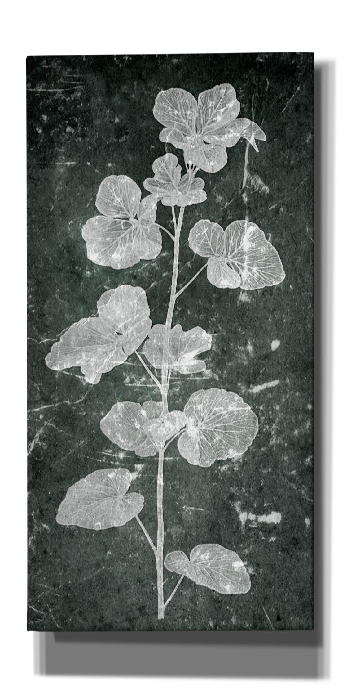 Epic Graffiti 'Botanical Inversion' by Svetlana Aleynikova Canvas Wall ...