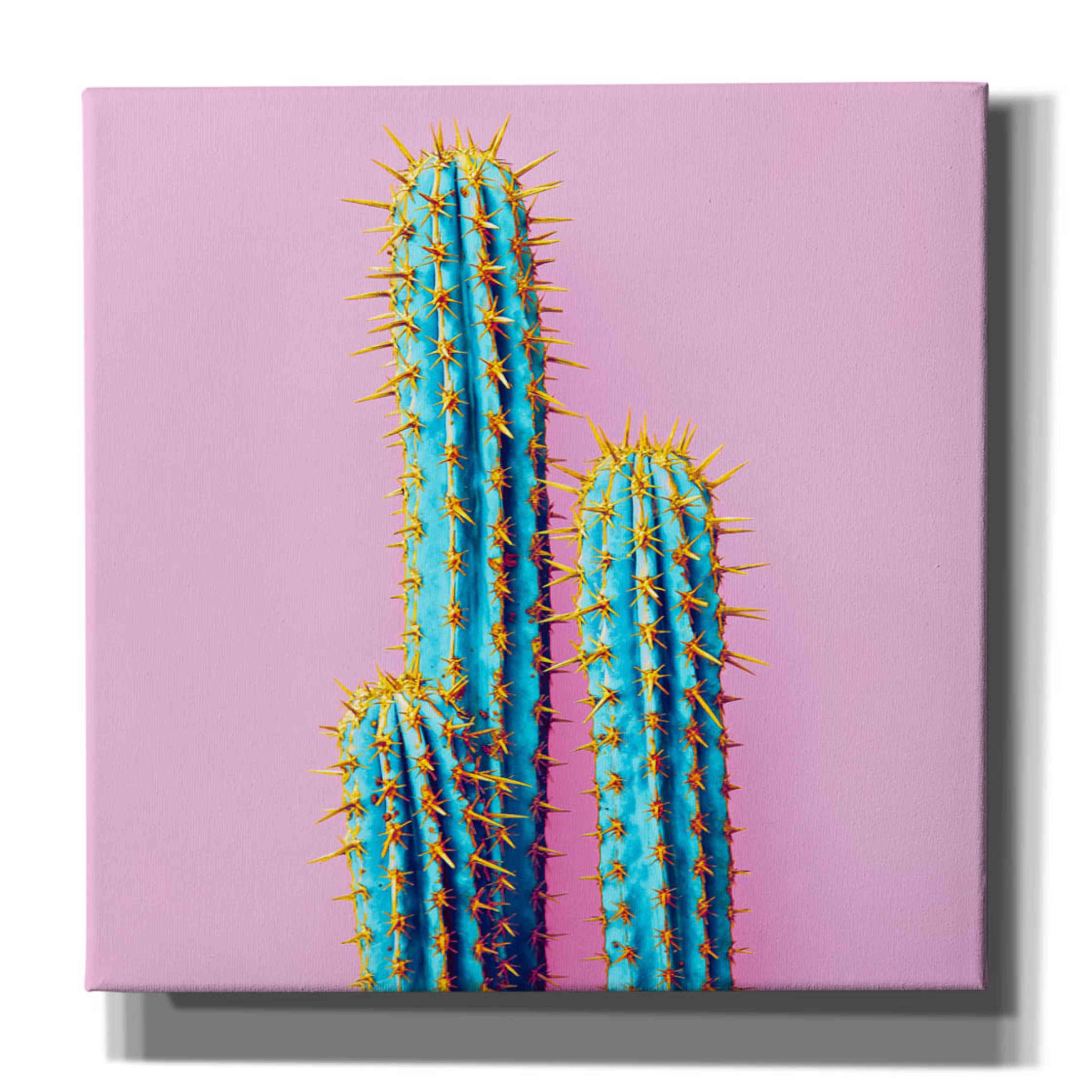 Epic Graffiti 'Bubble Gum Cactus' by Epic Portfolio, Giclee Canvas Wall ...