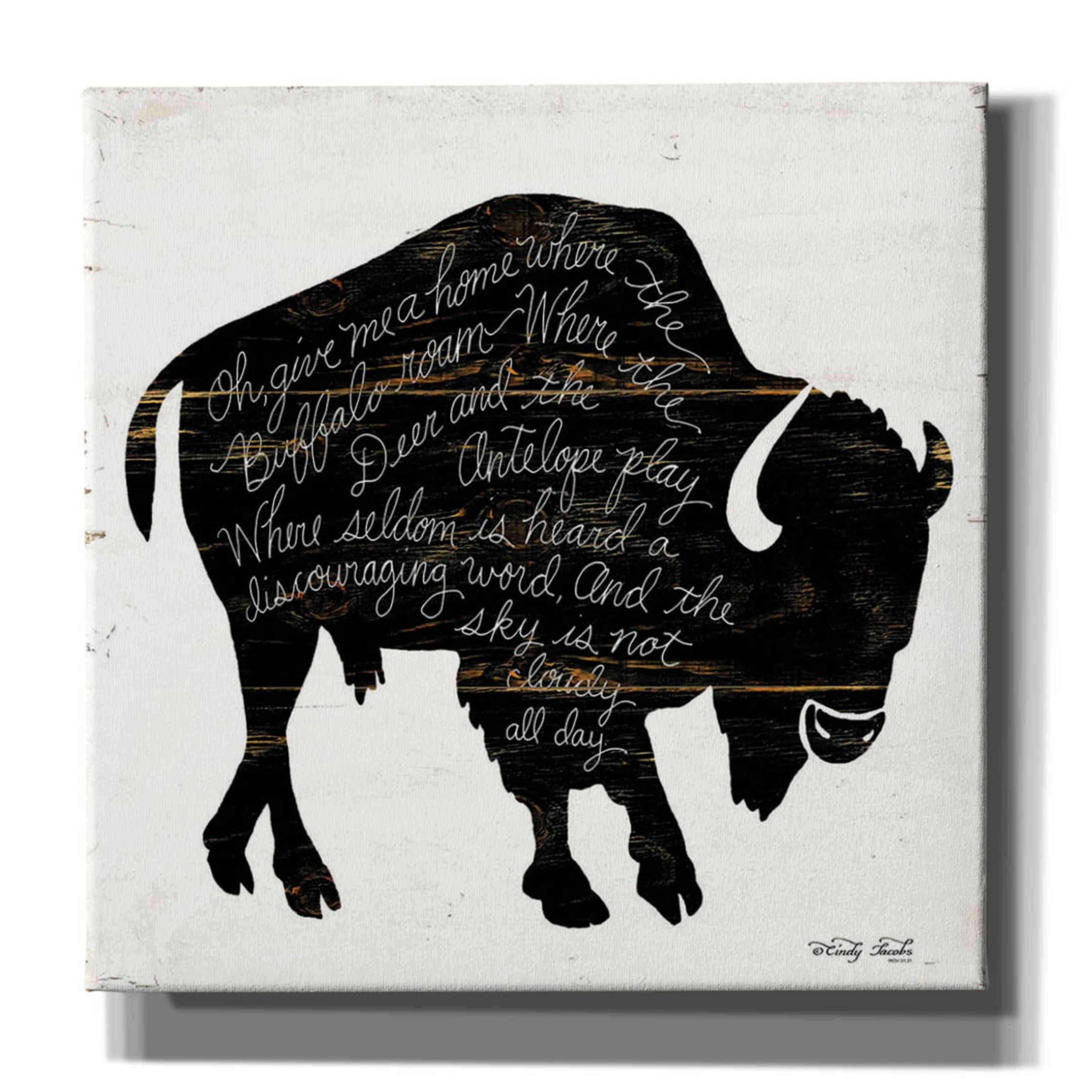 Epic Graffiti 'Buffalo in Black' by Cindy Jacobs, Canvas Wall Art, 26 ...